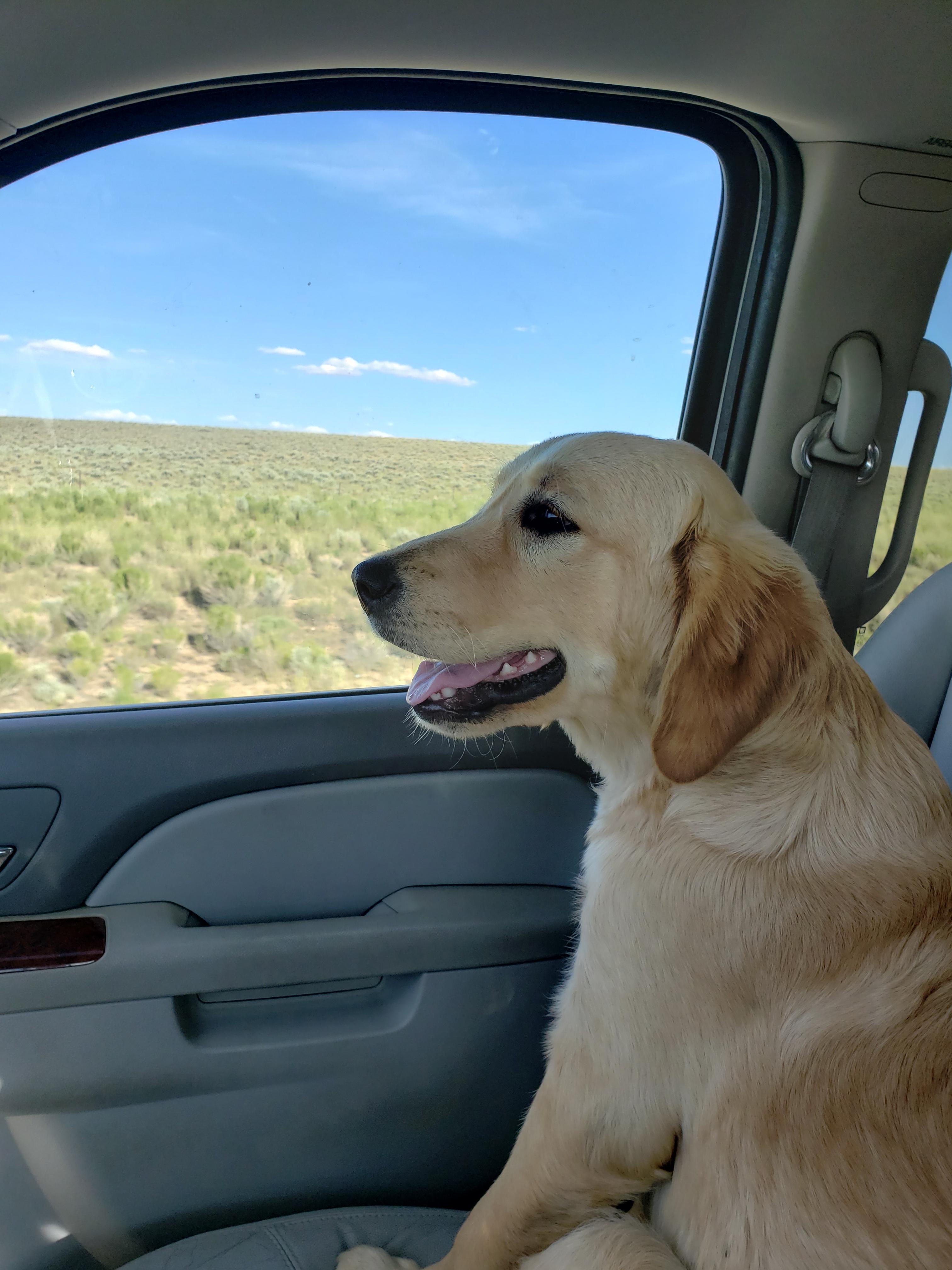 Meet Olive, 7 months | Scrolller