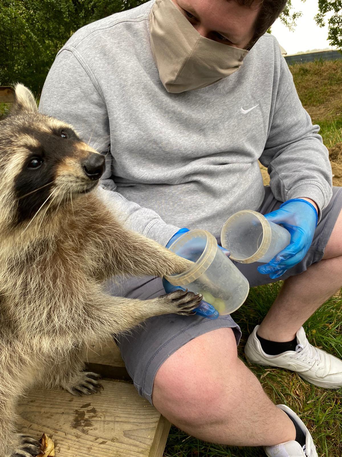 Meet Ralph guys! I was lucky enough to feed him a lot of food today! | Scrolller