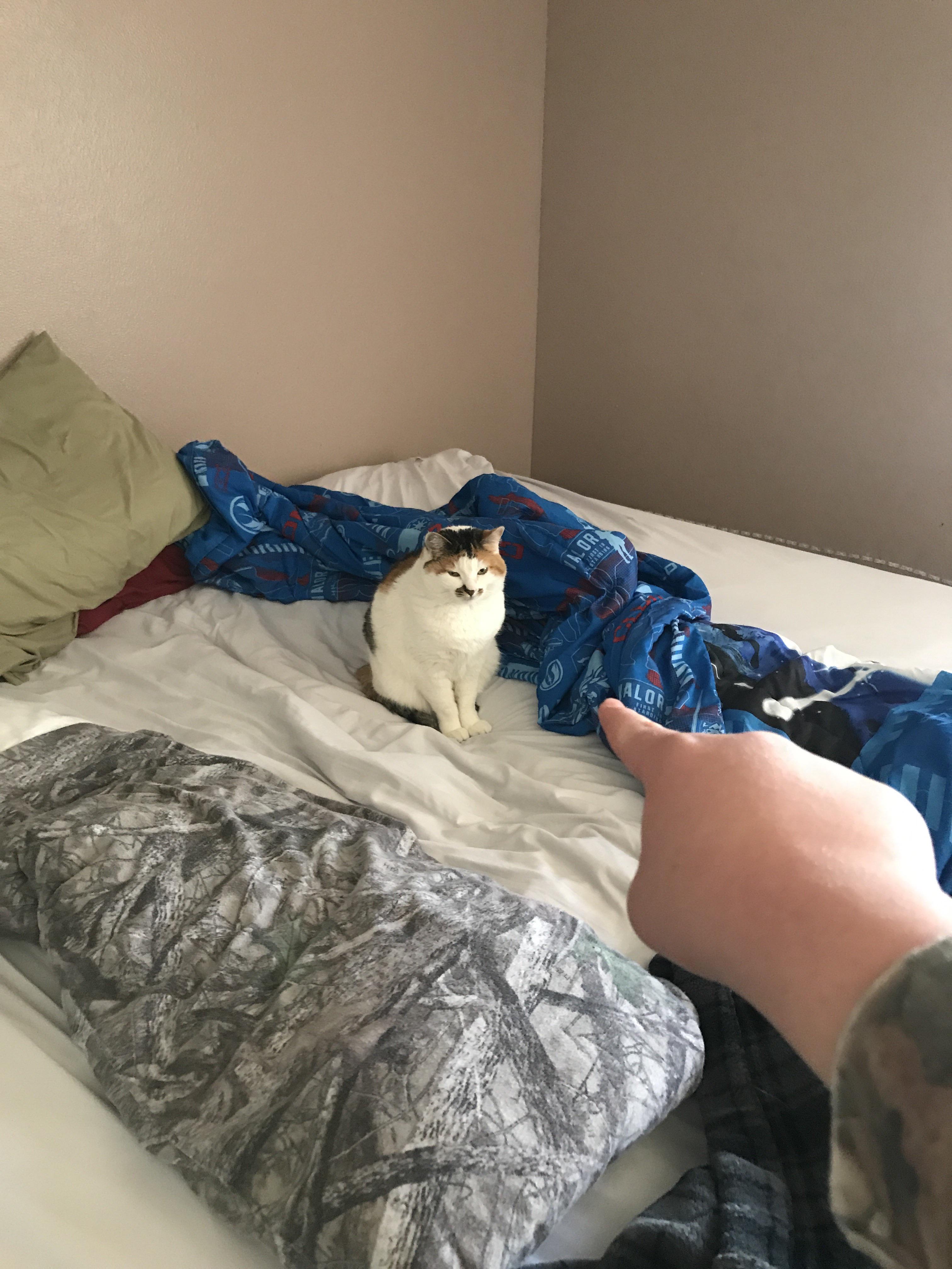 Meet smudge my 12 year old girl | Scrolller