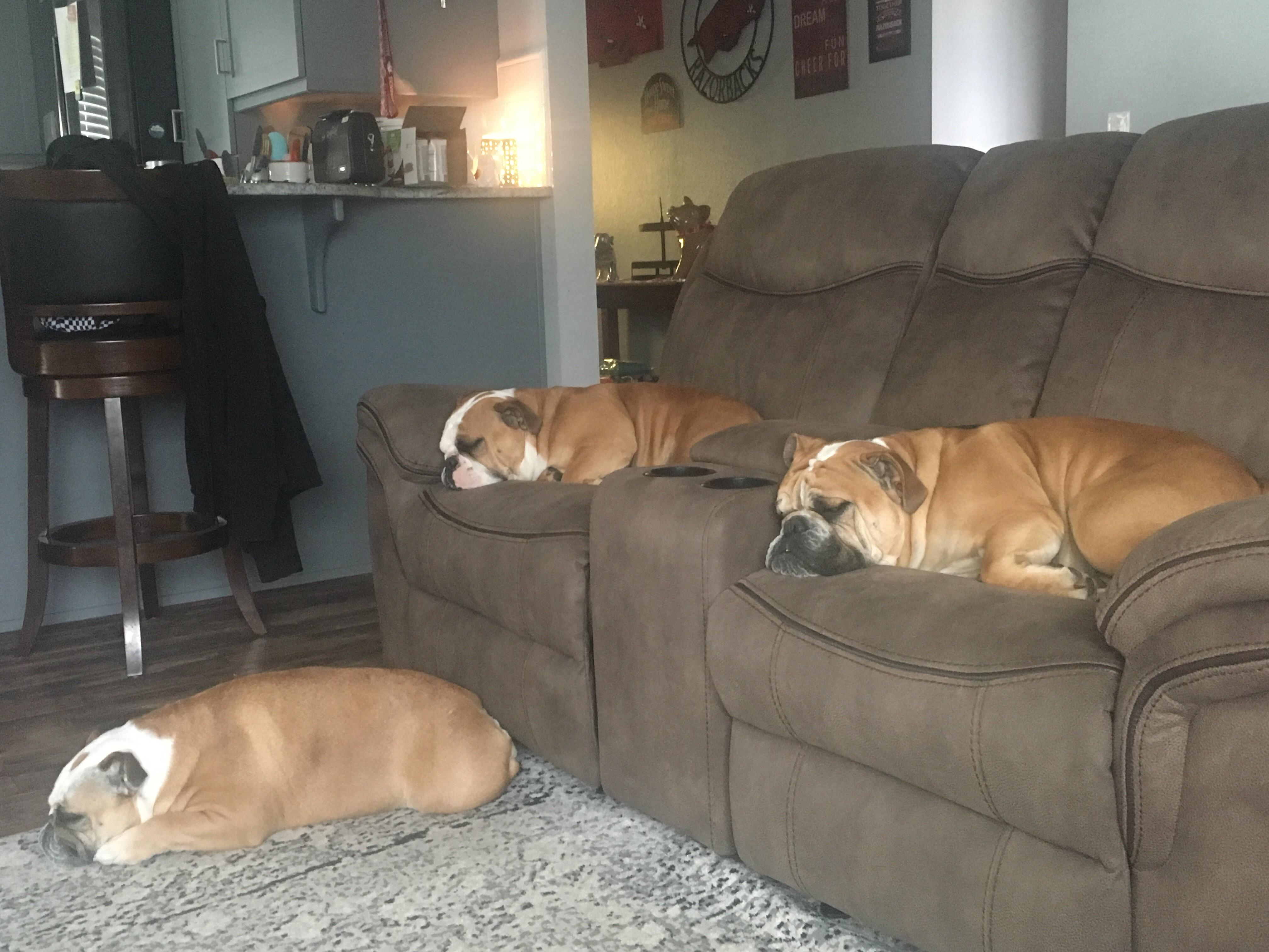 Meet the crew | Scrolller