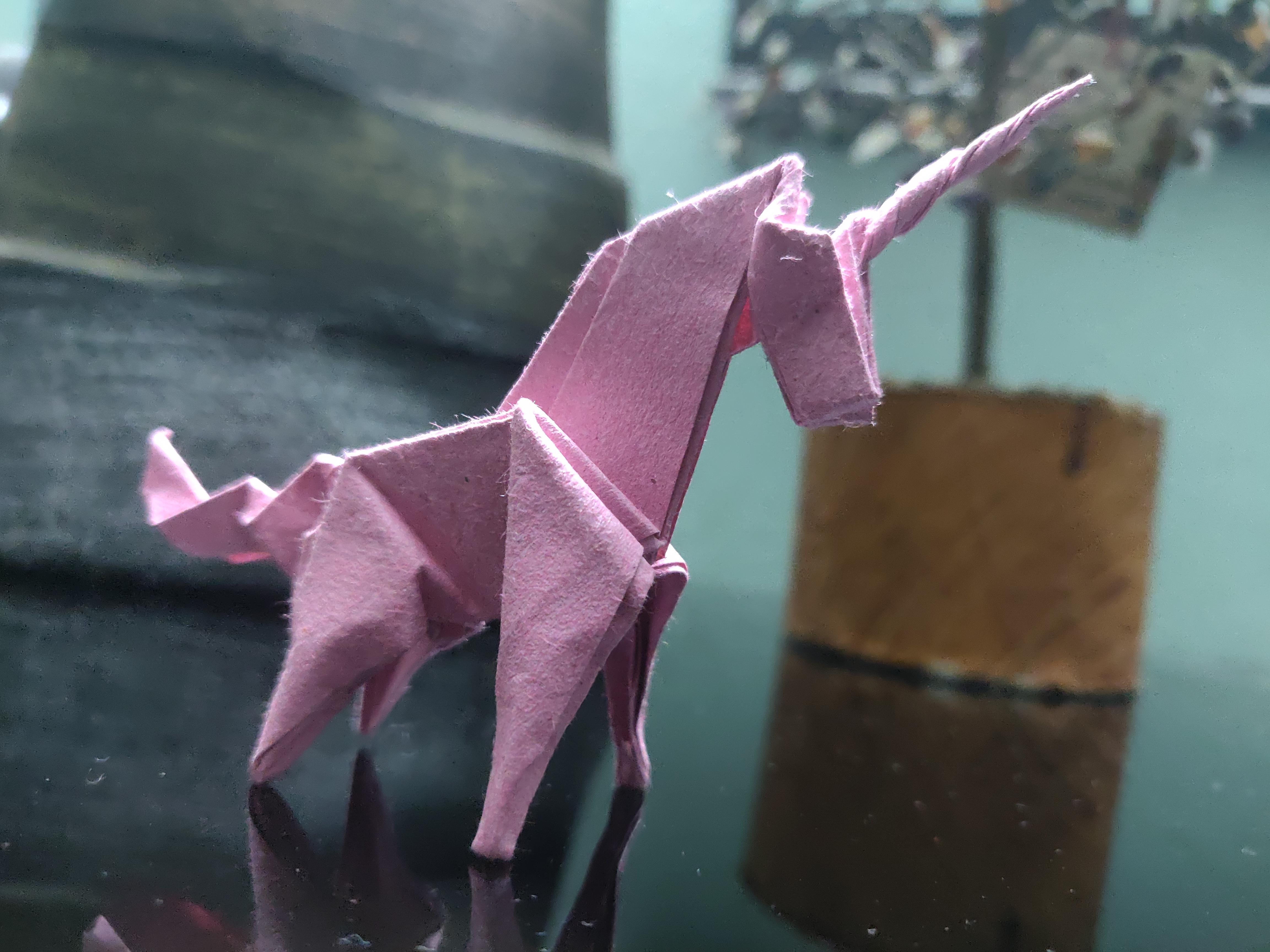 Meet Uni, the pink unicorn! | Scrolller