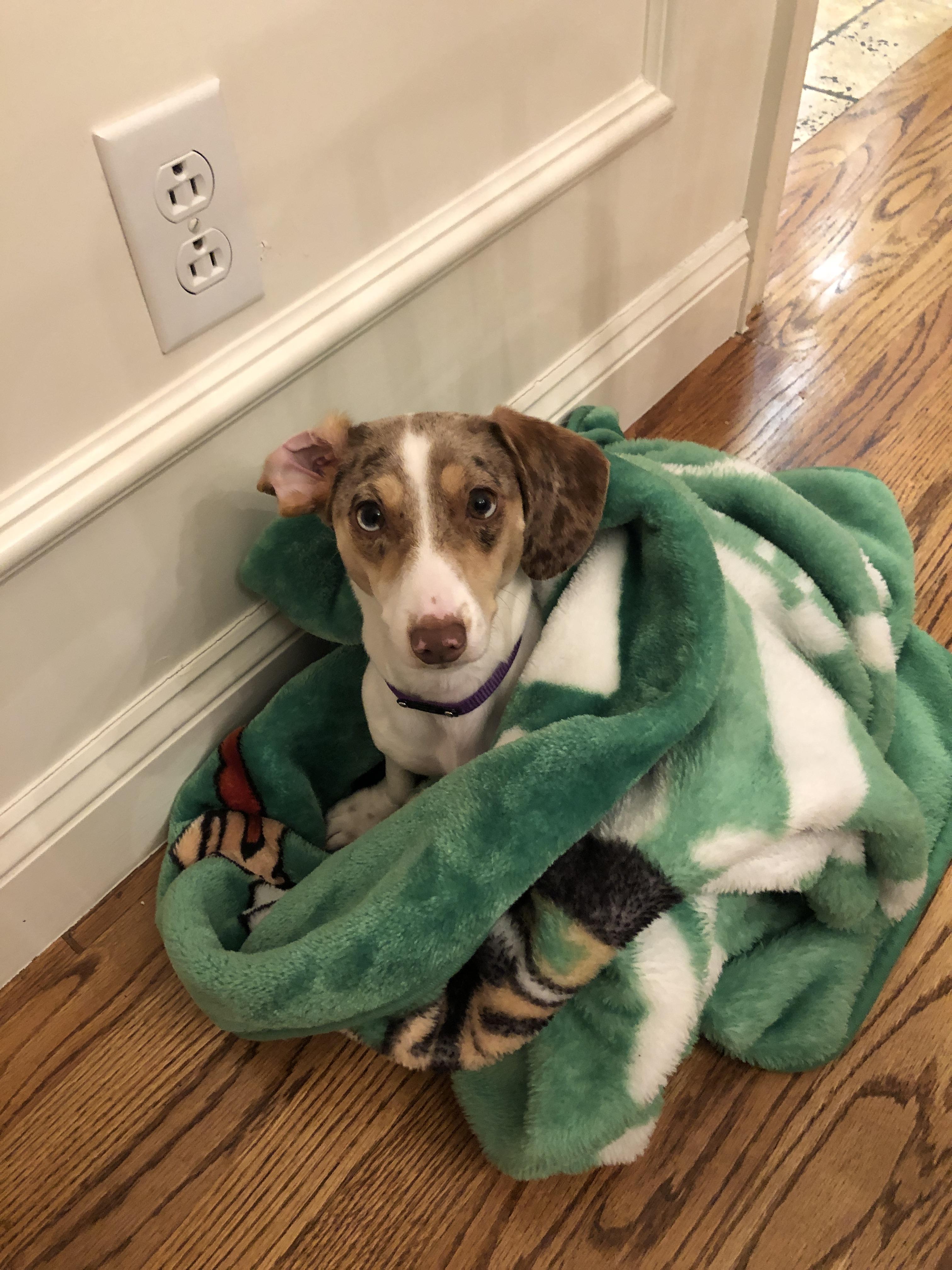 Meet Winnie: Queen of the Weens | Scrolller