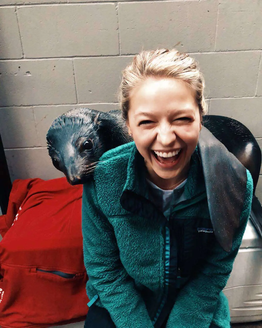 Melissa Benoist Scrolller
