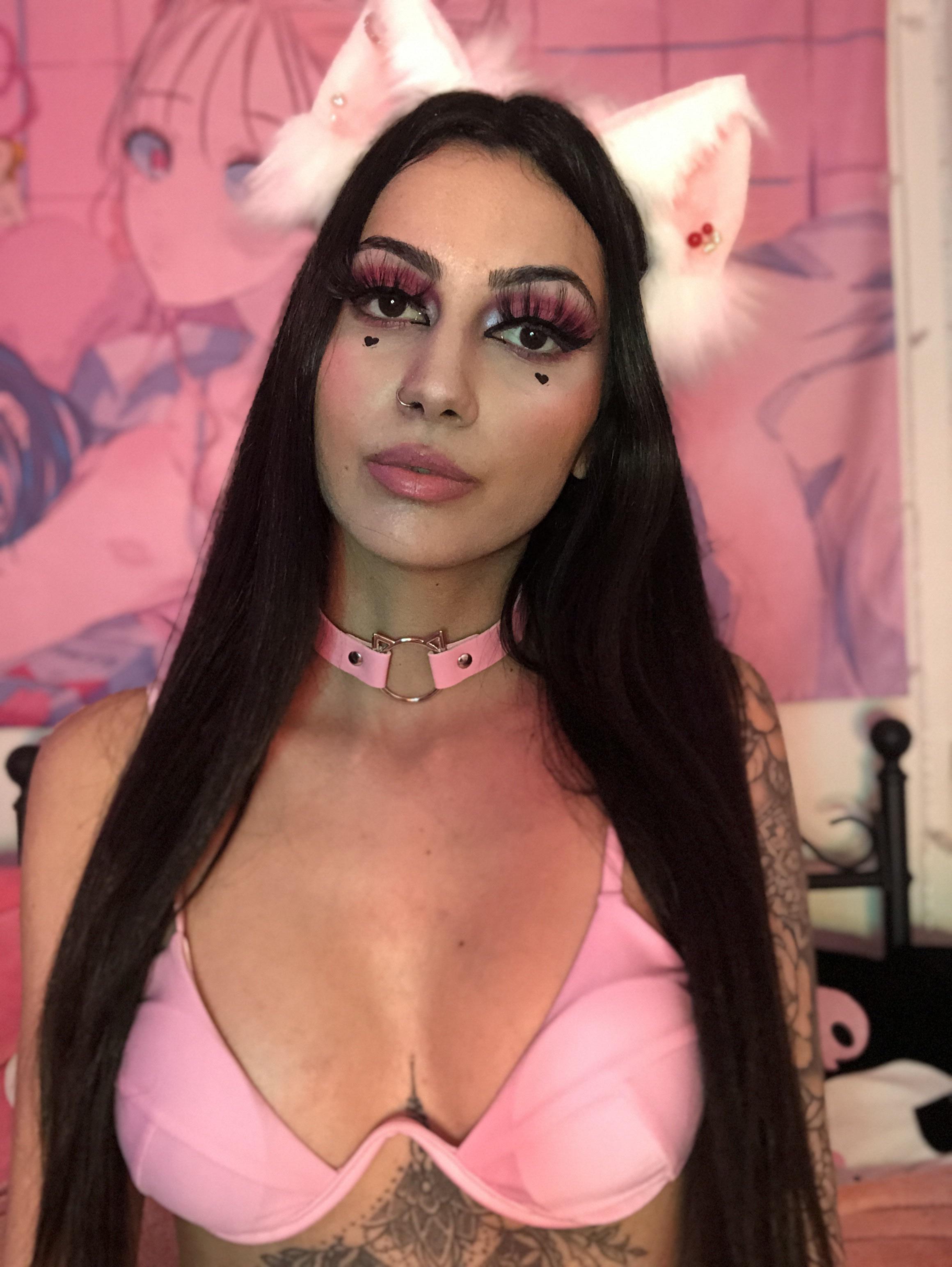 pastel kitten🐱💖 | Scrolller