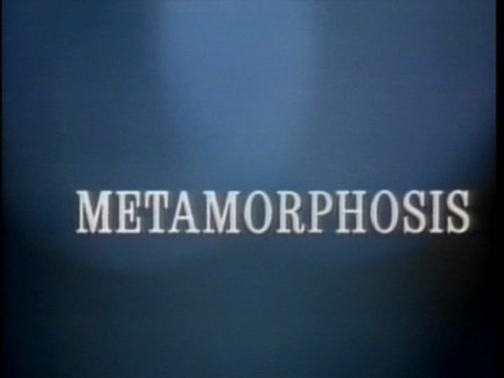 Metamorphosis (1990) | Scrolller