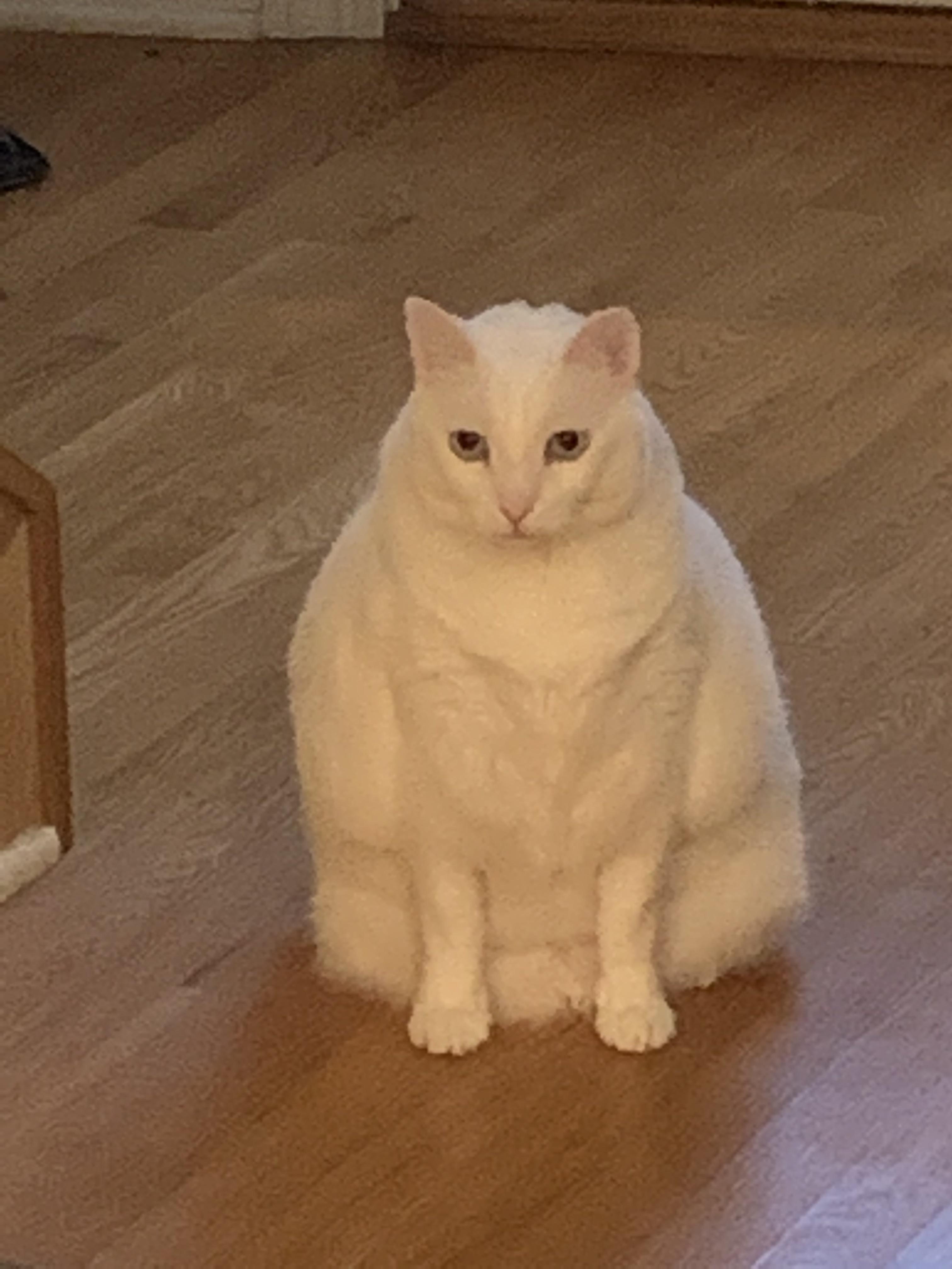 Methos Monday | Scrolller