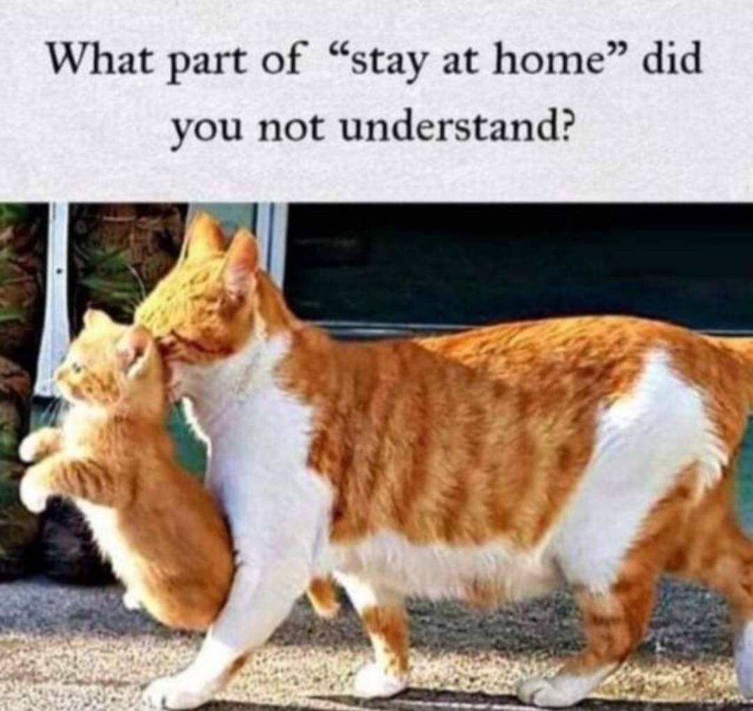 Mhm true true | Scrolller