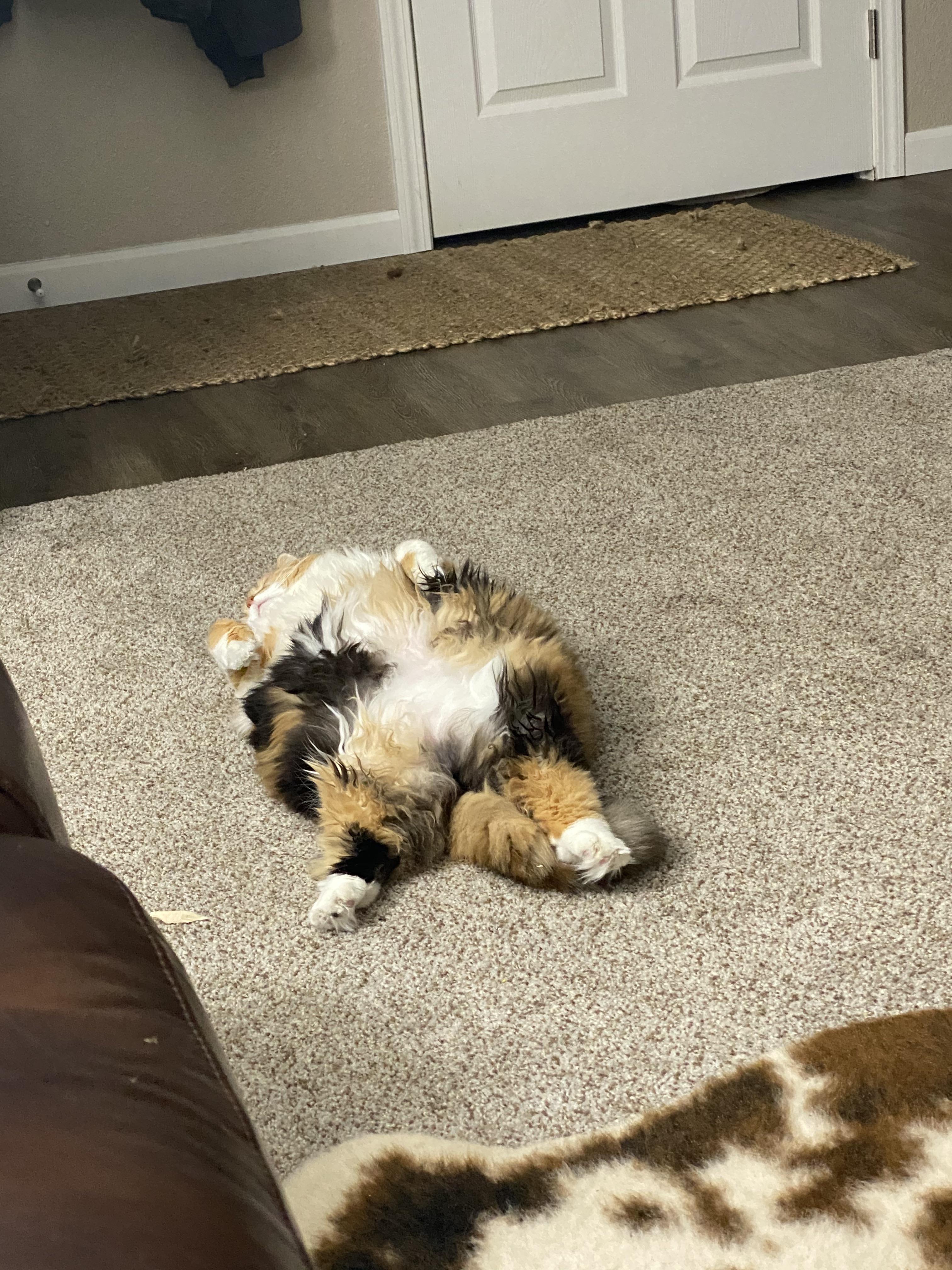 Mhm yes...beautiful | Scrolller