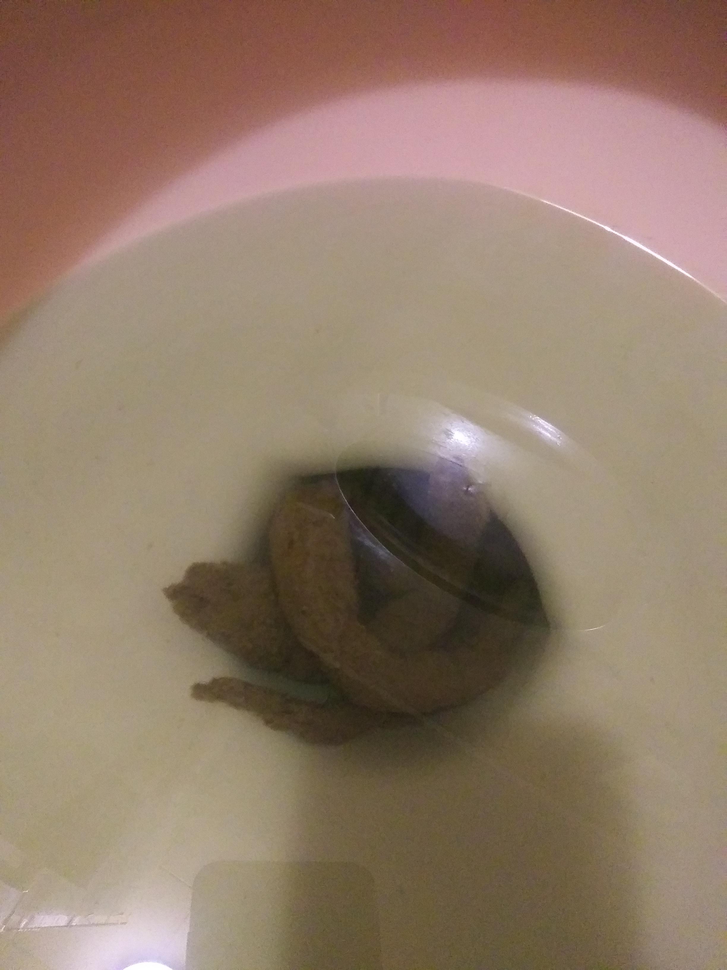 Mid day dump. | Scrolller