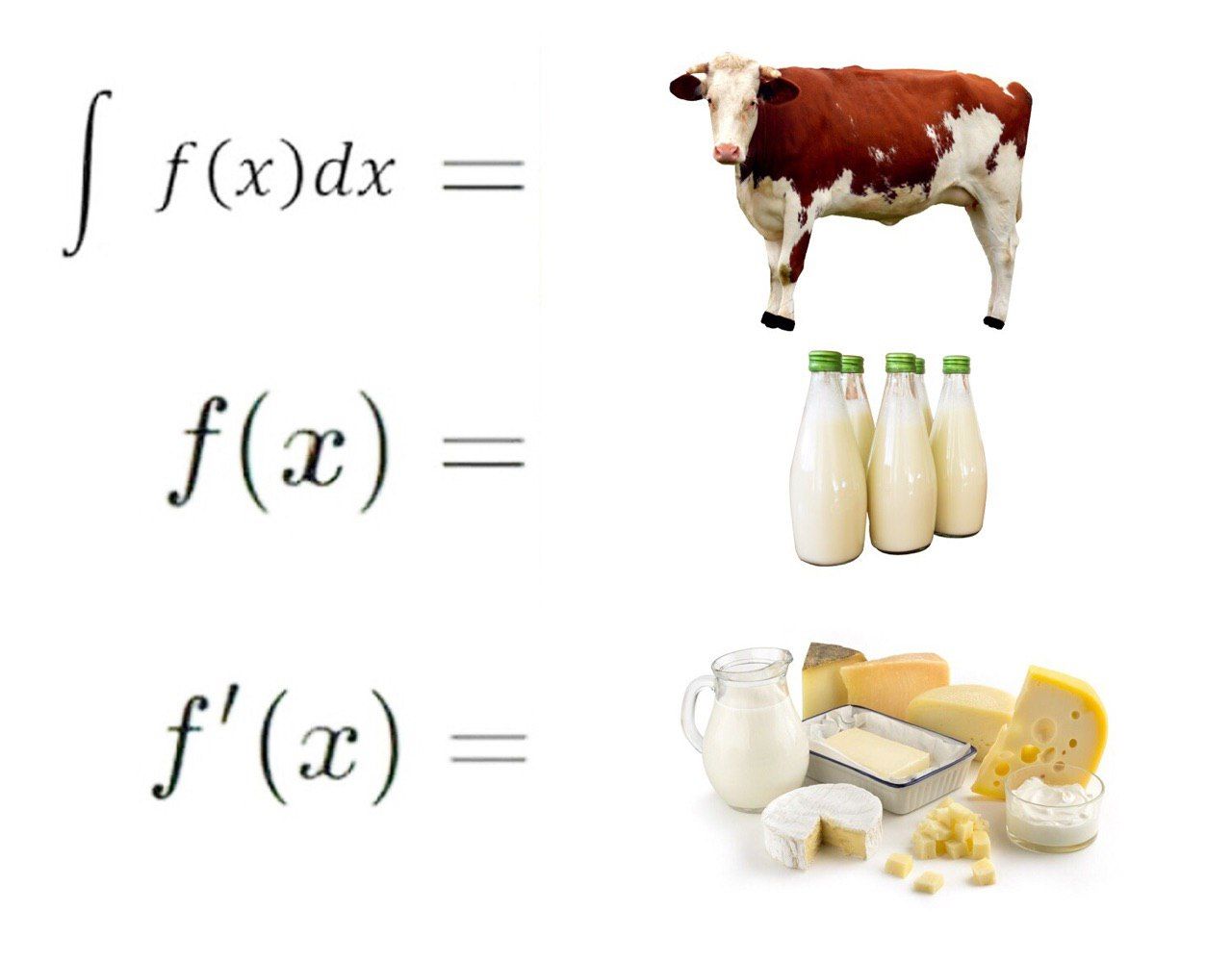 Milk function | Scrolller