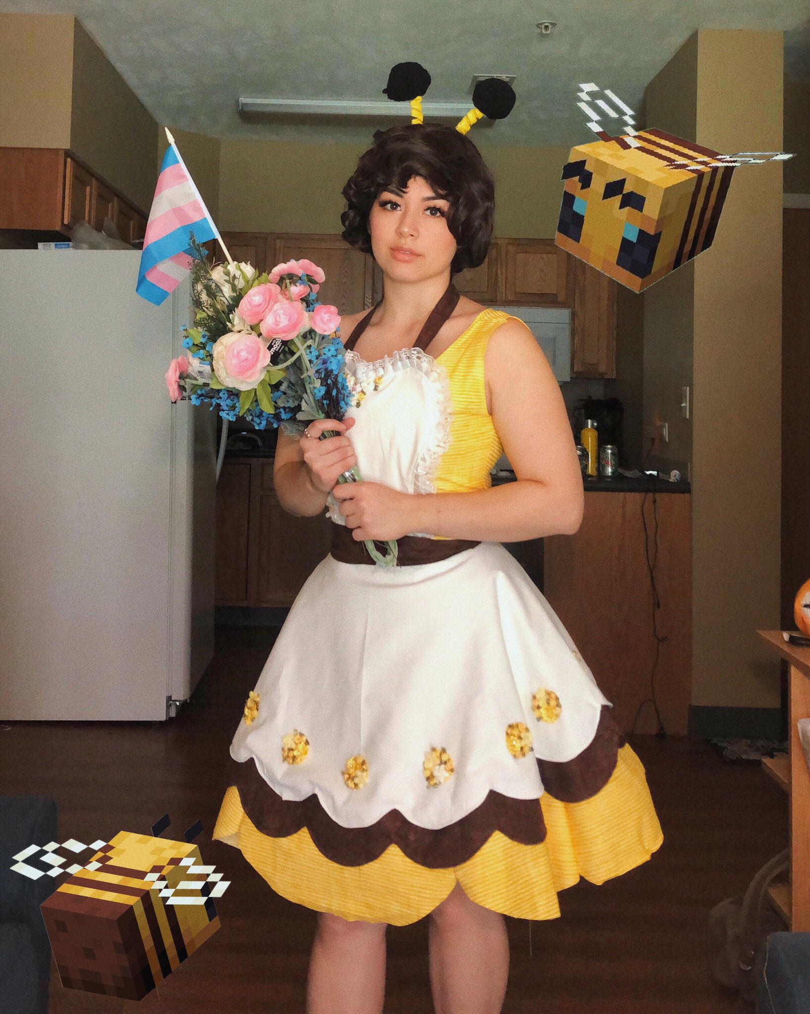 Minecraft Bee supports trans rights | Scrolller