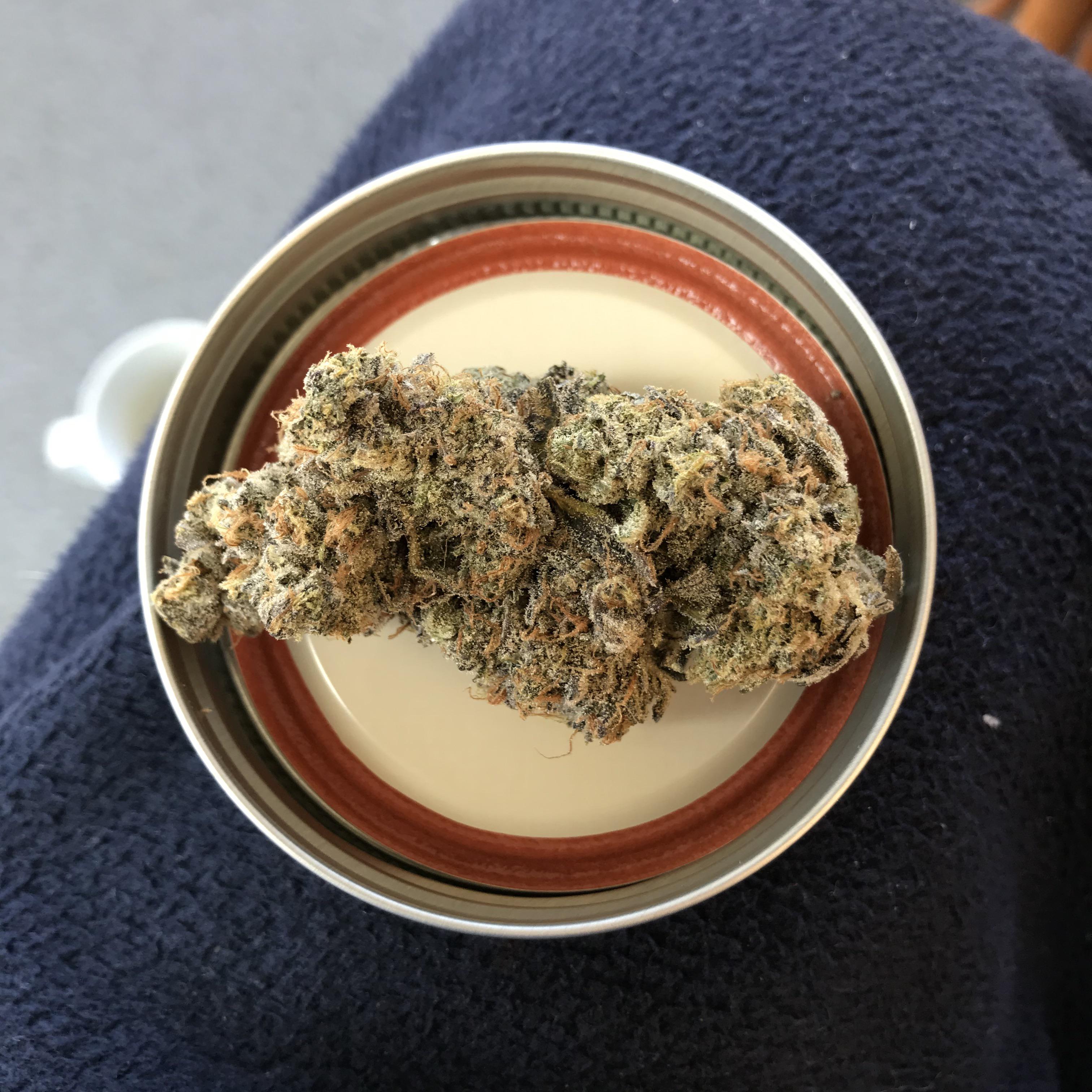 Mint Chocolate Chip - Budmail - July 2020 | Scrolller