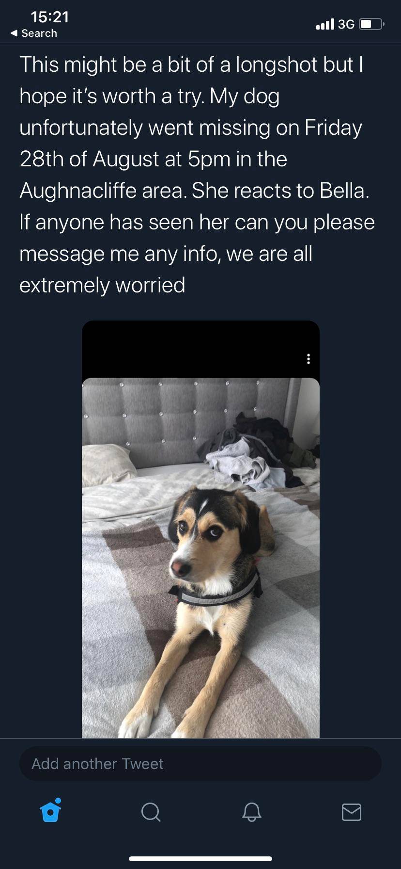 MISSING DOG | Scrolller