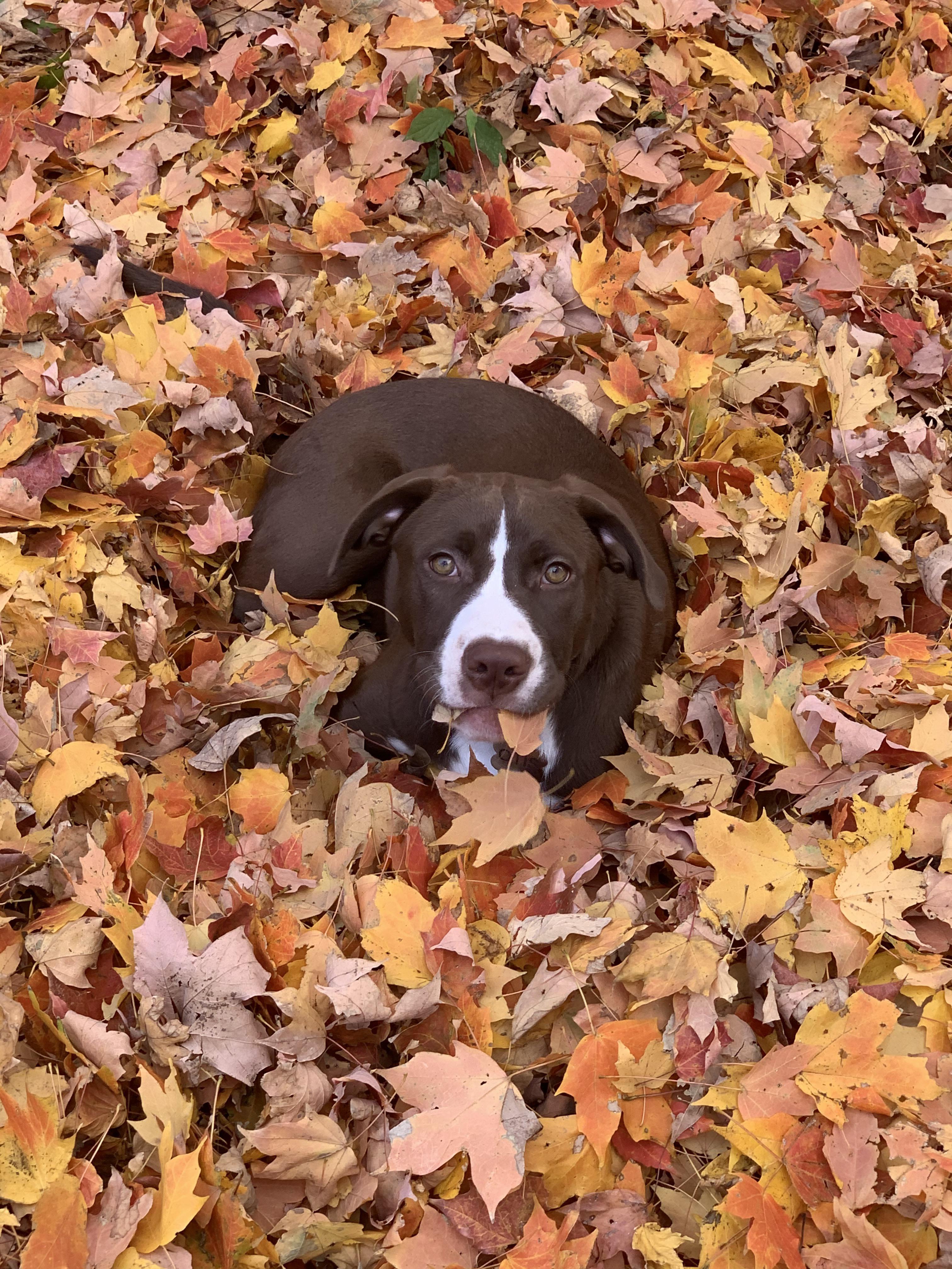 Model behavior | Scrolller