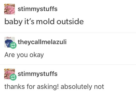 Discover more like Tumblr: Mold and Related Content | Scrolller