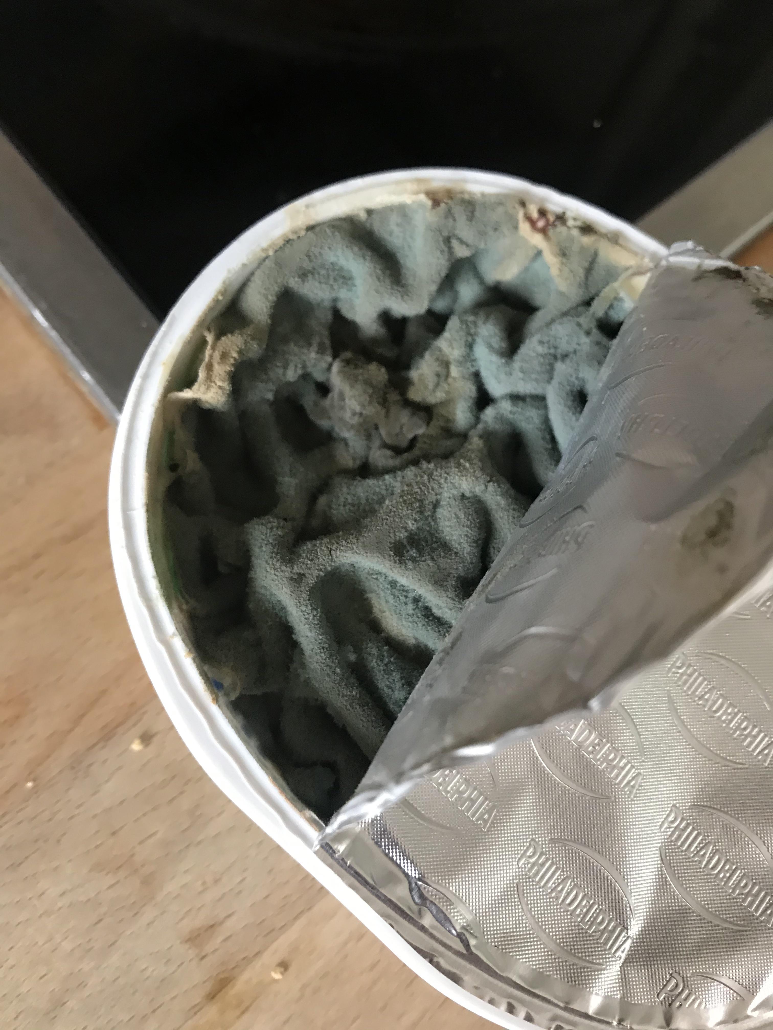 Mold Fold | Scrolller