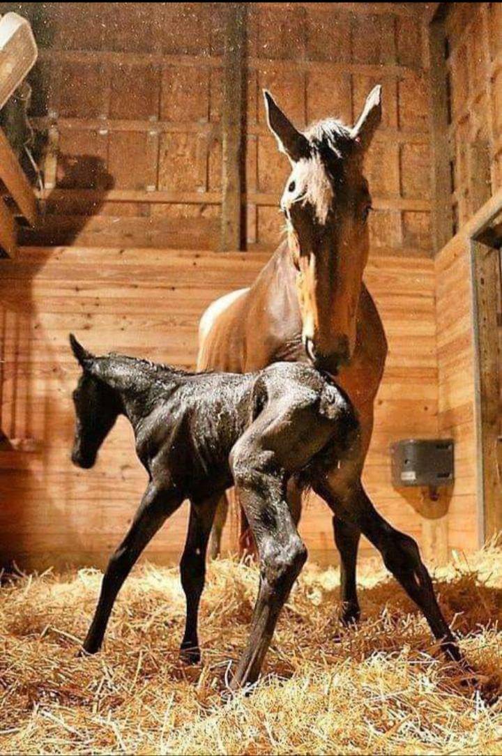 Mom and newborn | Scrolller