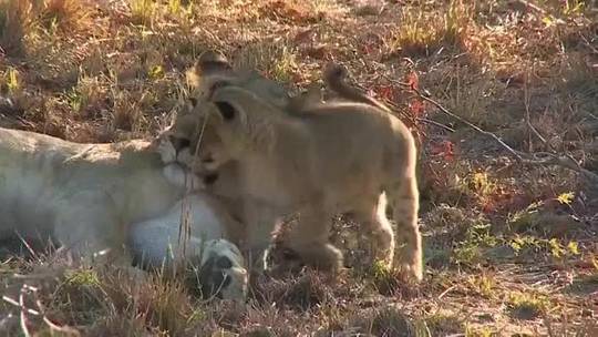 "Mom, can I have a hug?" | Scrolller