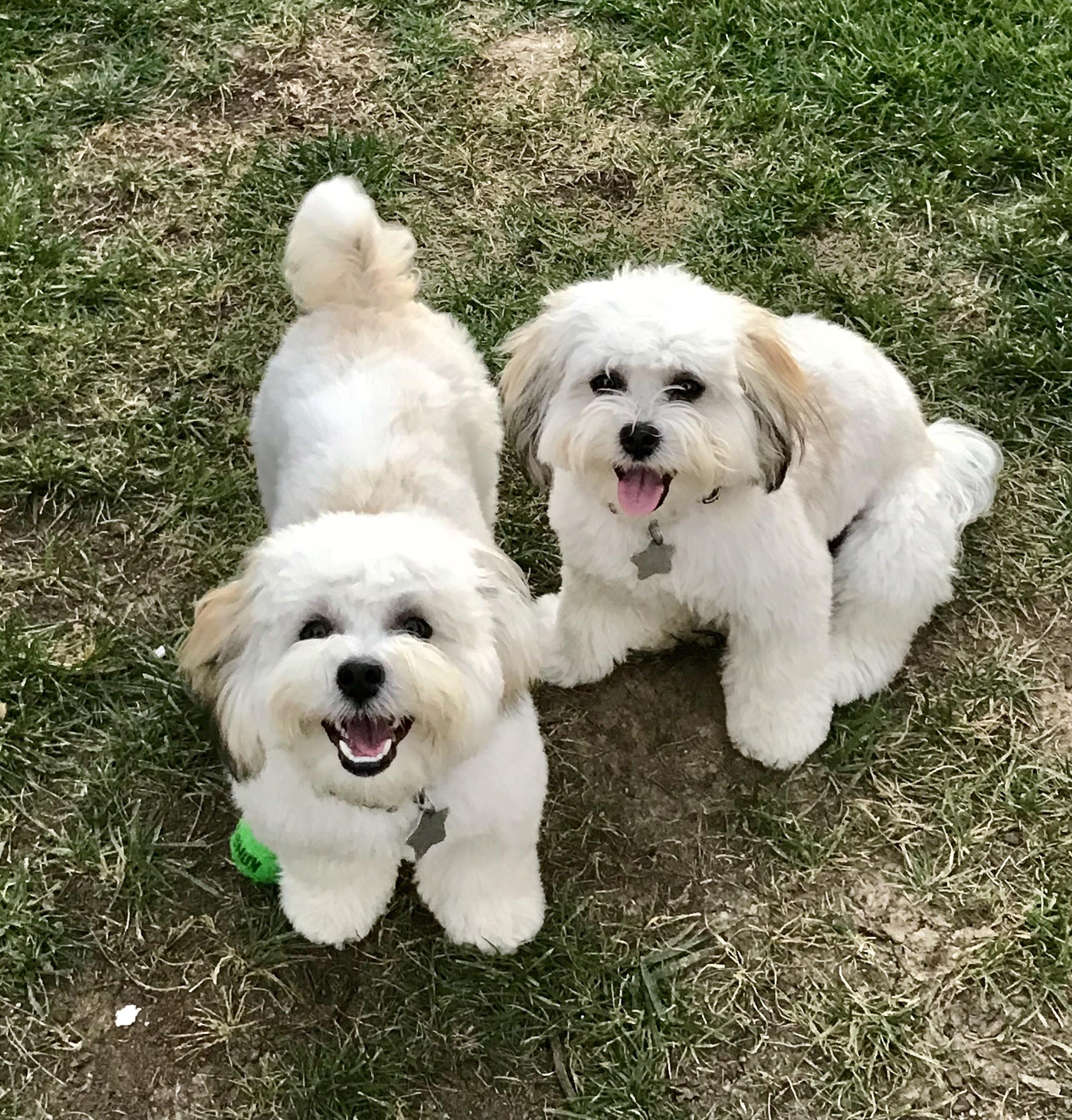 Momma’s bears:) Oh how I love these two! | Scrolller