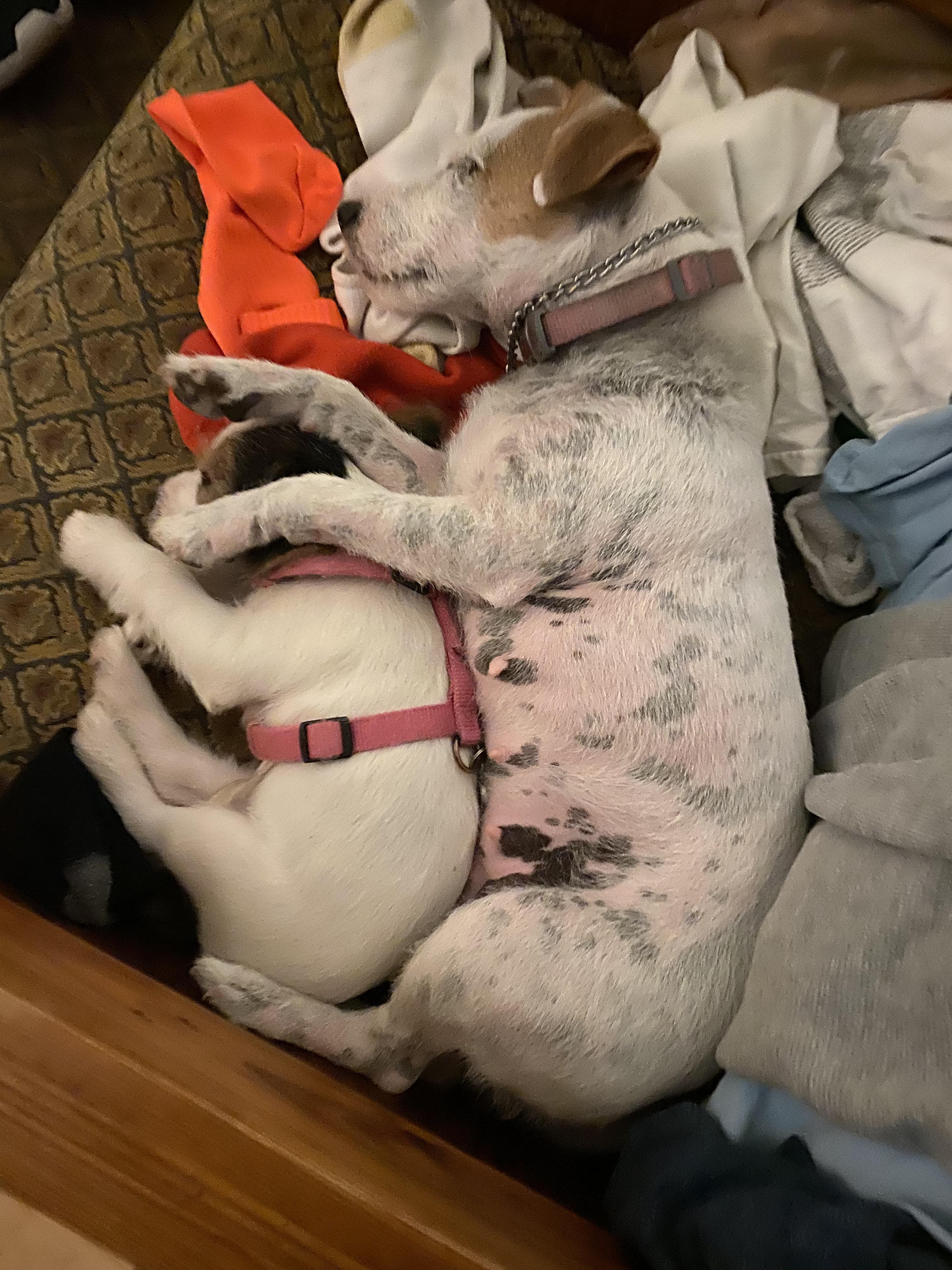 Mommy and daughter cuddling | Scrolller