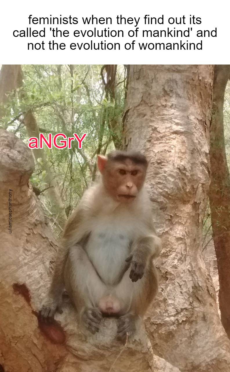 monke angy | Scrolller