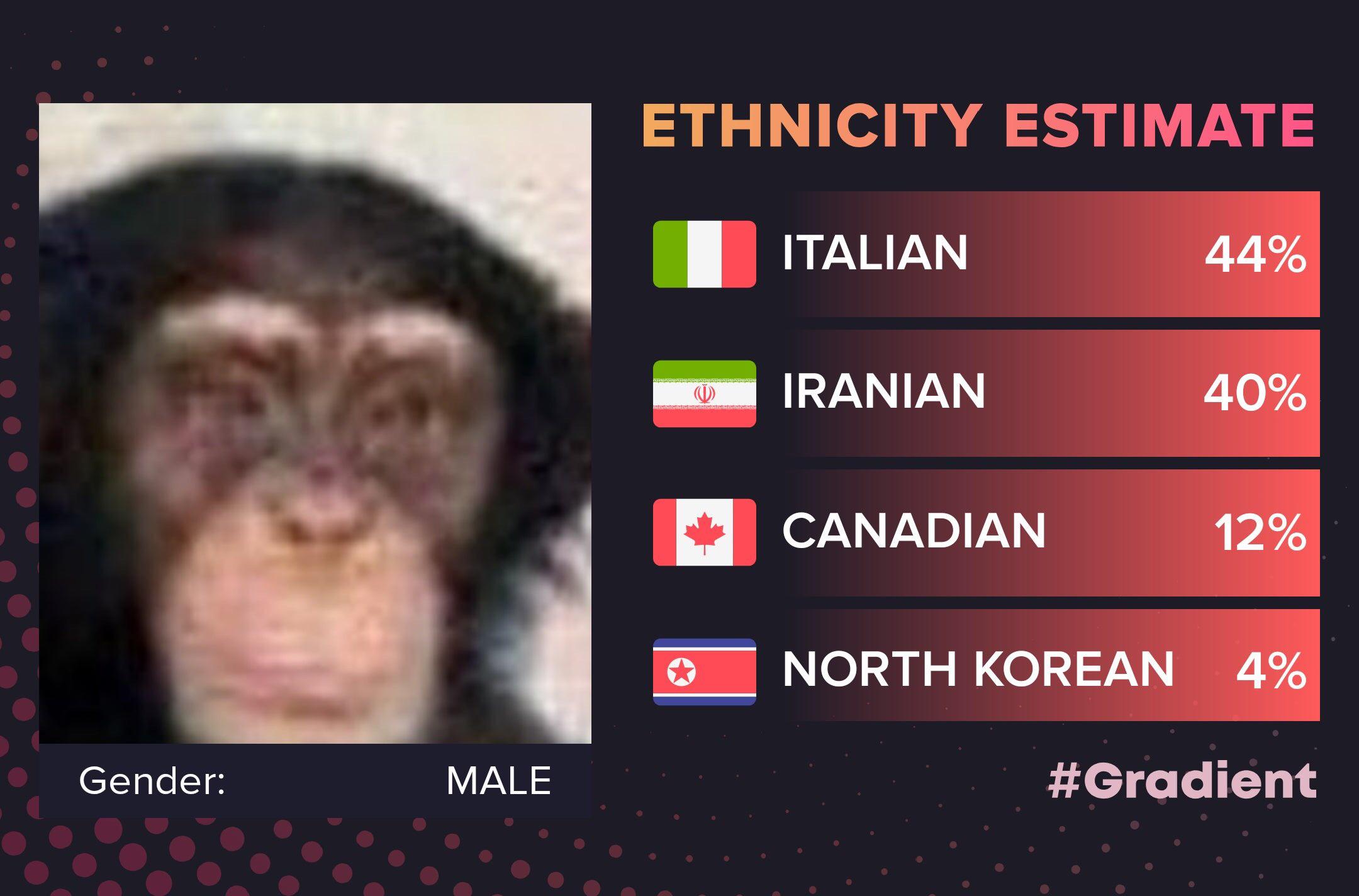 MONKE is Italian?! Ooh ooh mama Mia aah aah | Scrolller