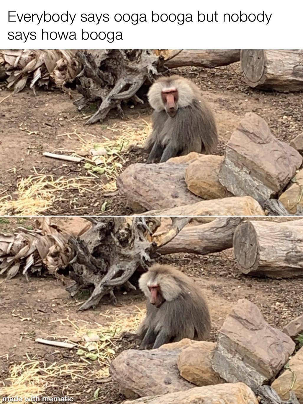 Monke sad | Scrolller