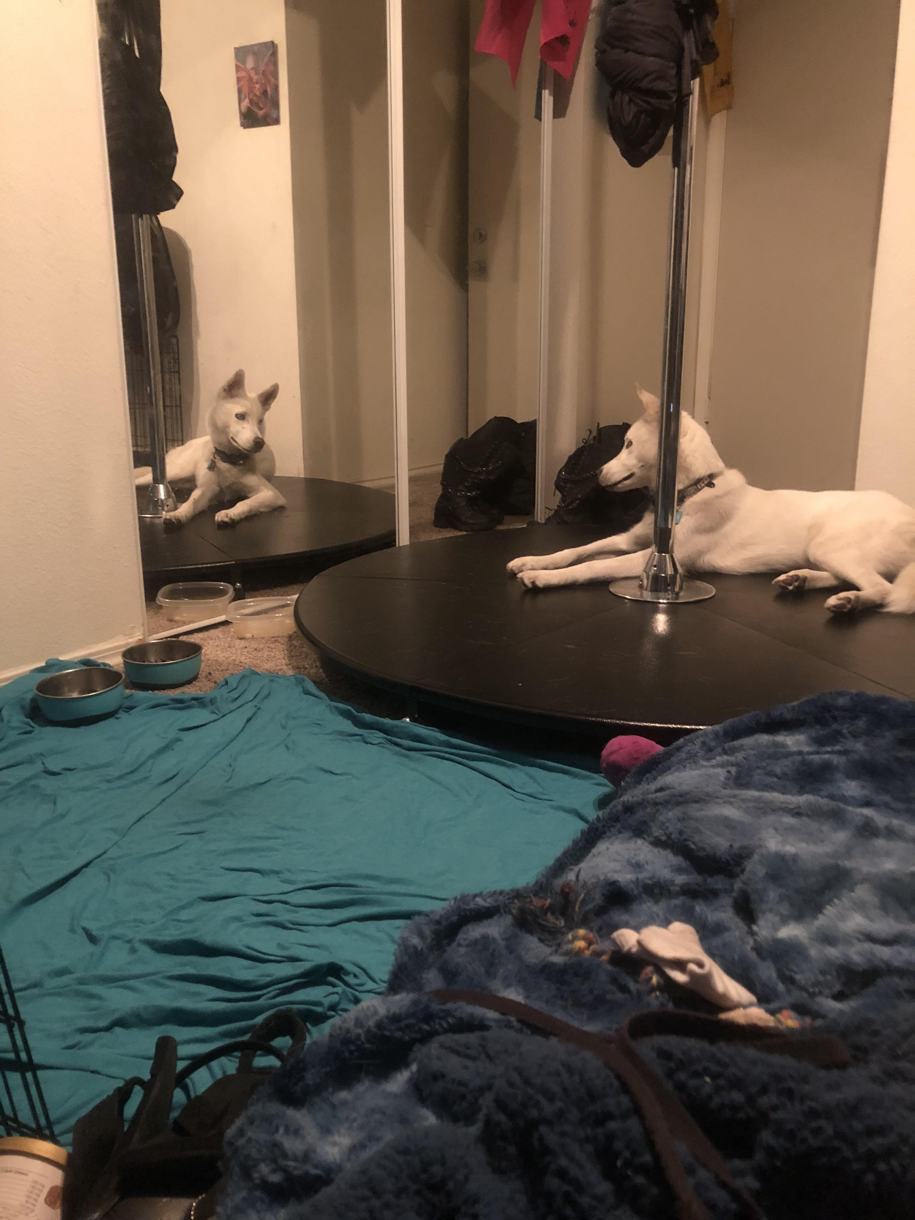 Moon moon finds himself handsome. | Scrolller