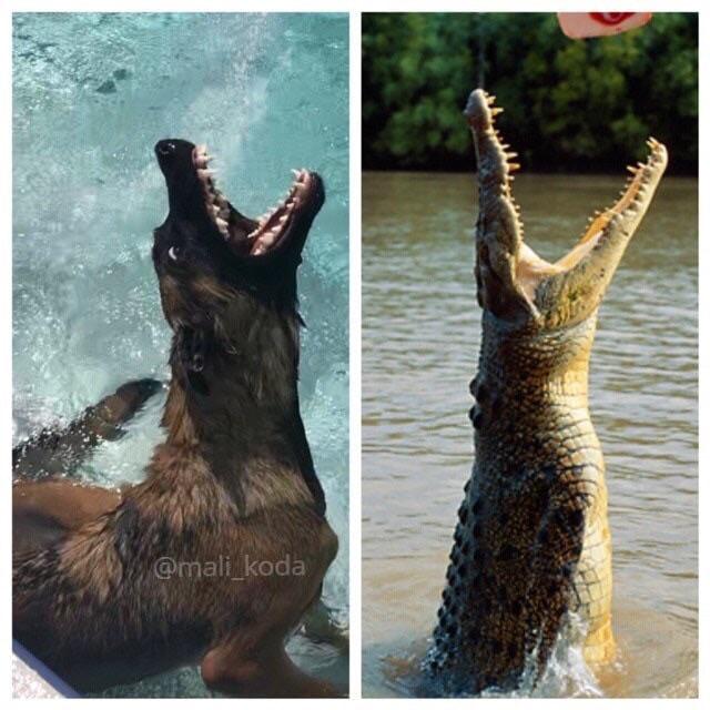 More “evidence “ | Scrolller