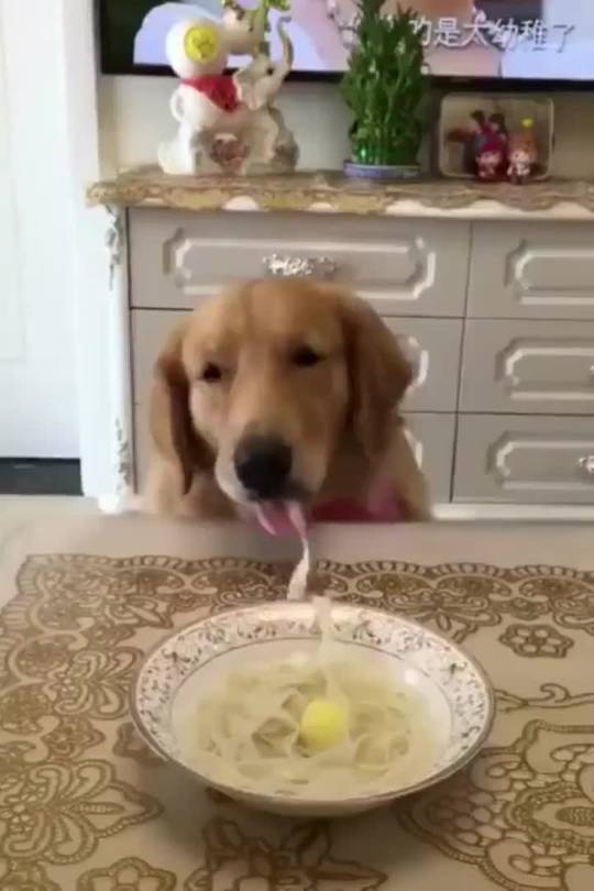 Discover more like Biggerthanithought: Mom won't miss ONE noodle... and ... Discover more like Biggerthanithought: Mom won't miss ONE noodle... and ...