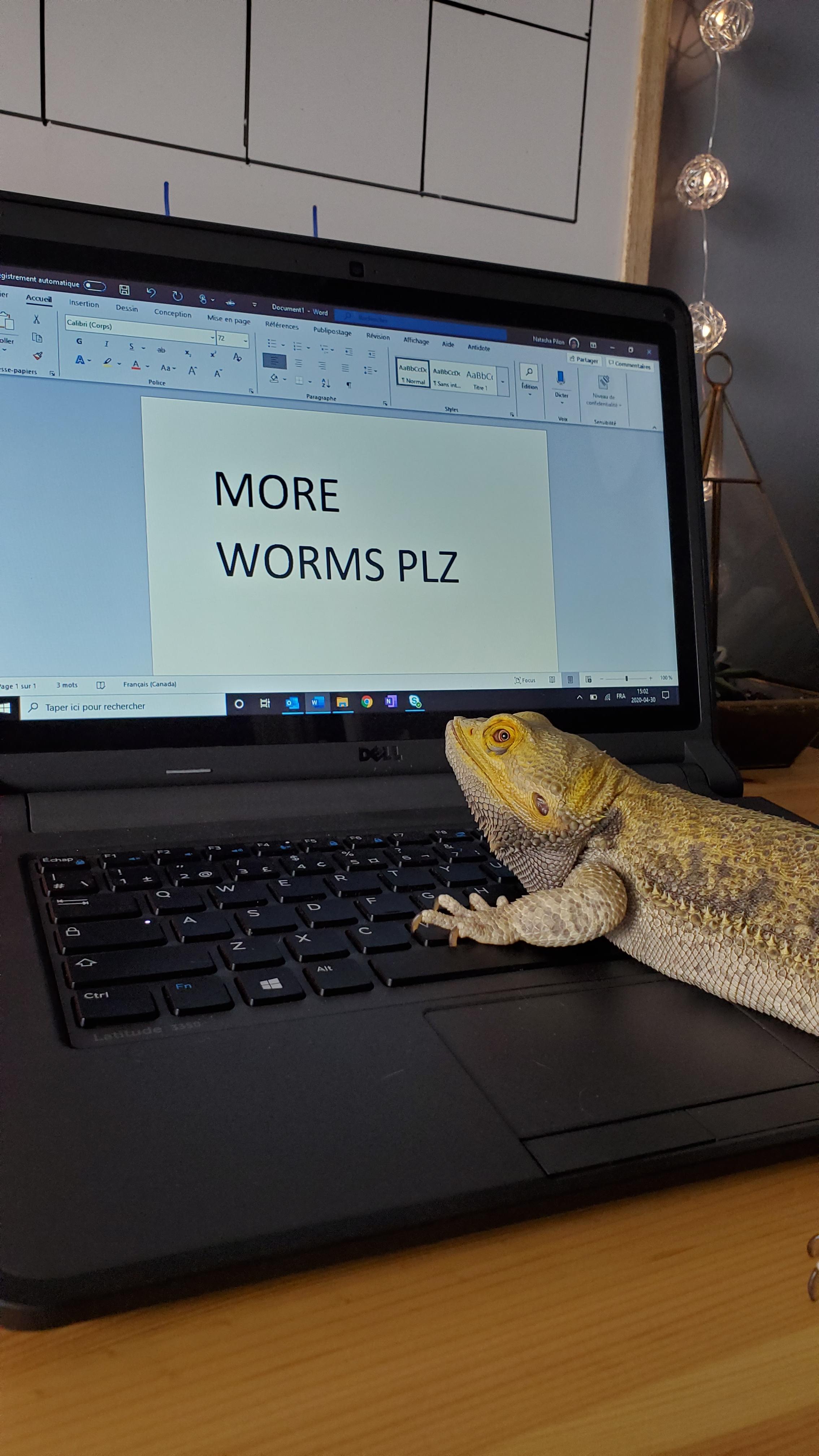 More Worms plz | Scrolller