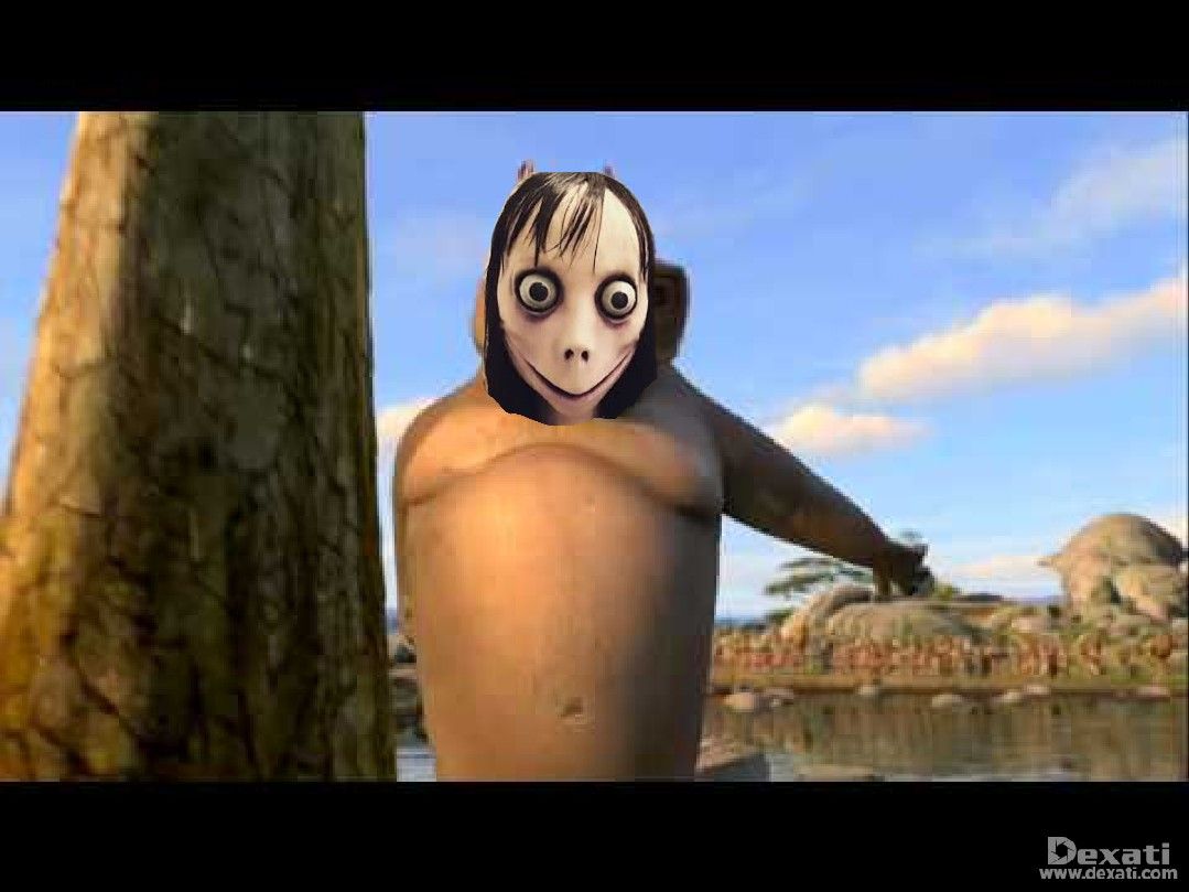 Moto Momo | Scrolller