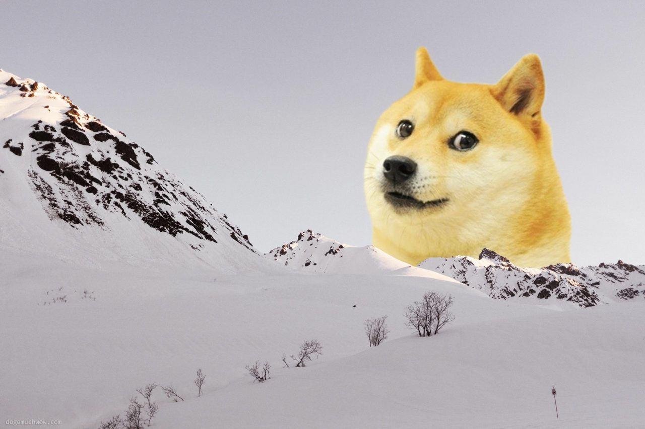 Mountain Doge | Scrolller