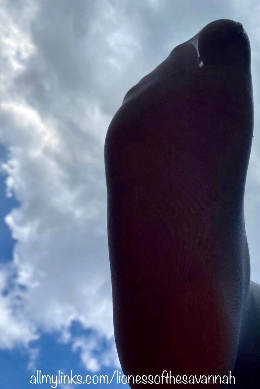 Move, tiny human!! | Scrolller