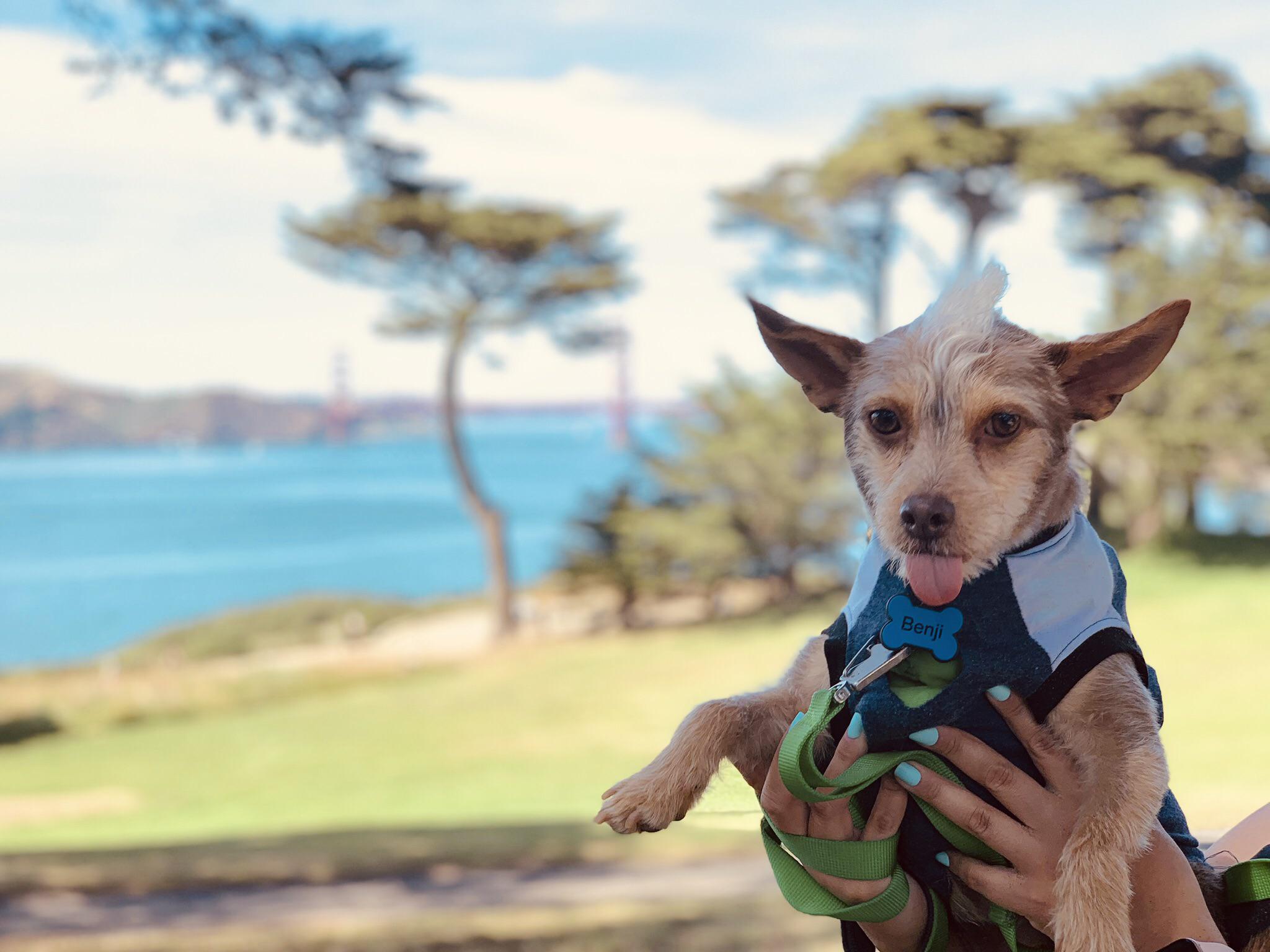 Mr.Ben in San Francisco | Scrolller