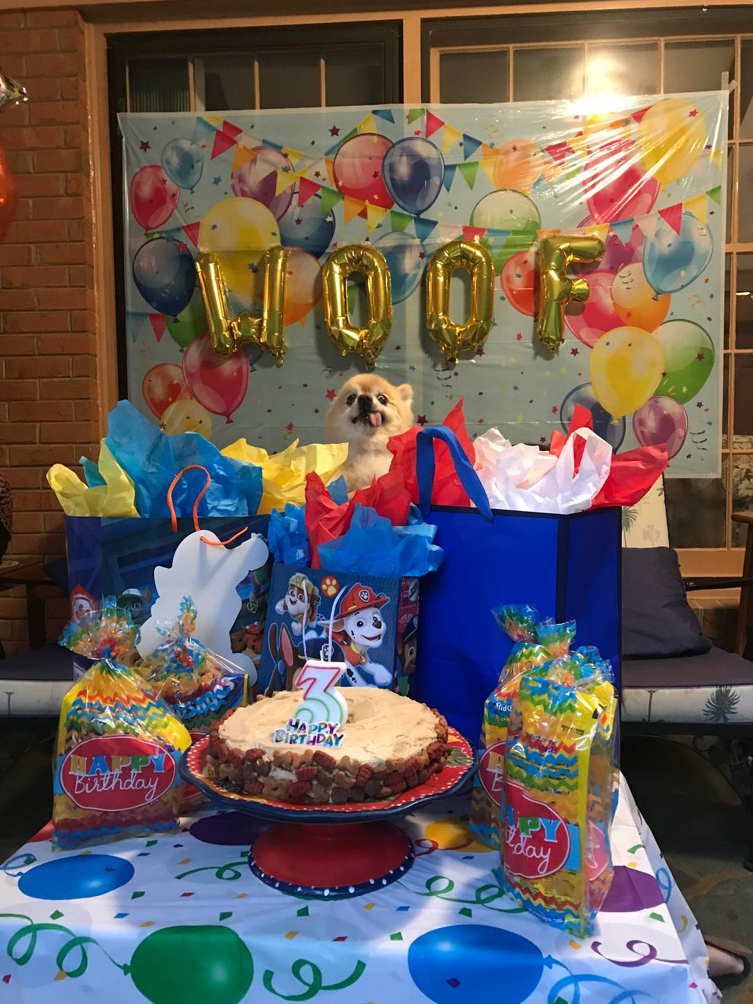 Mr. Pom Pom had a birthday party last night🎉🎈 | Scrolller