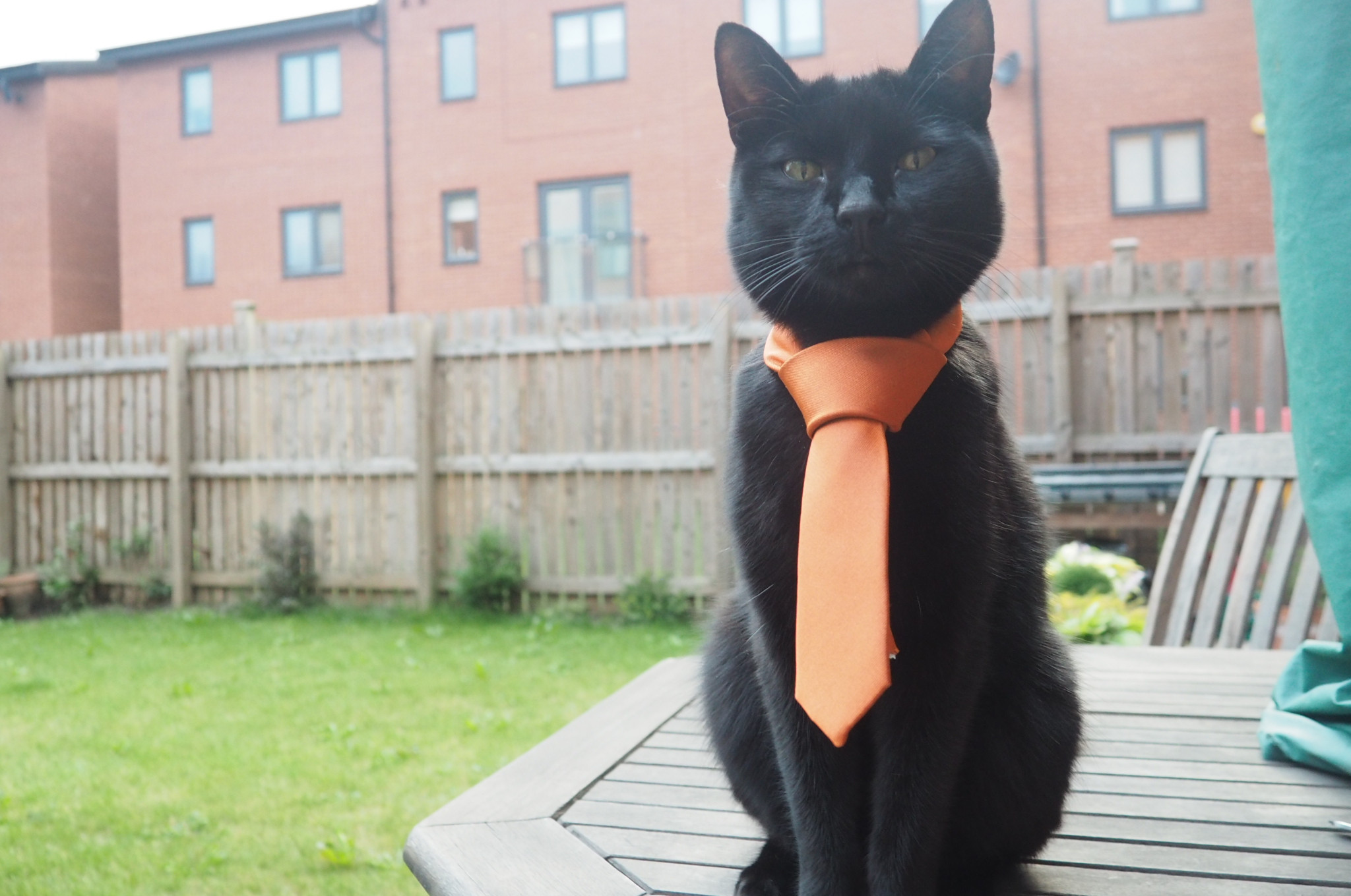 Mr Selleck will see you now. | Scrolller