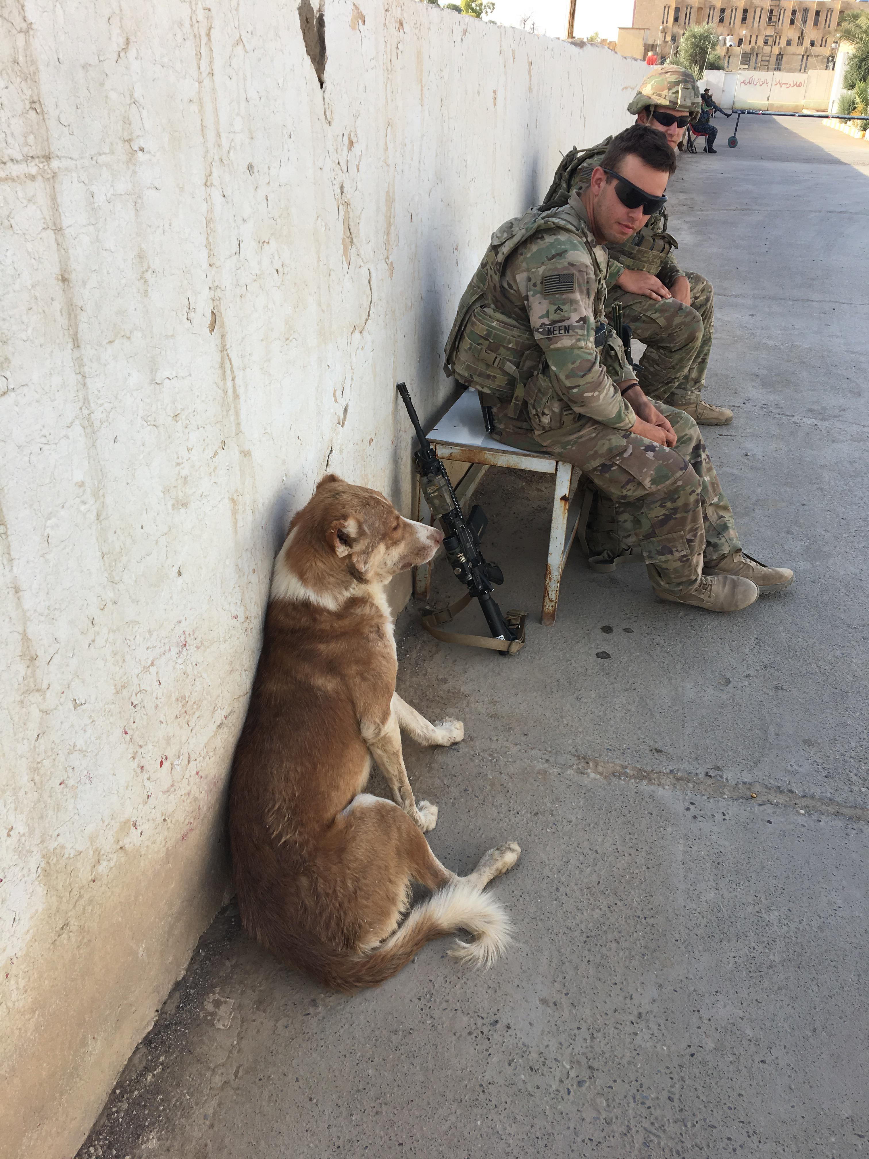 Mr. T was the goodest boy! Through and through | Scrolller