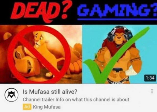 mufasa_irl | Scrolller