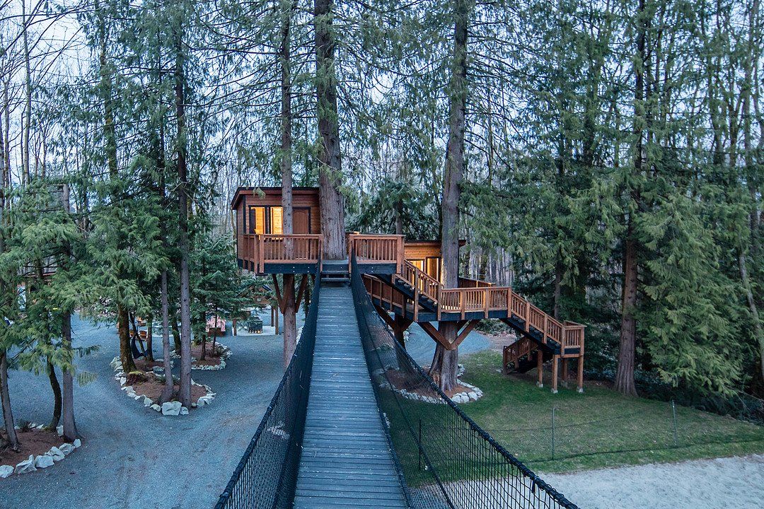 Multi-level treehouse complete w/ wifi and power[building] | Scrolller