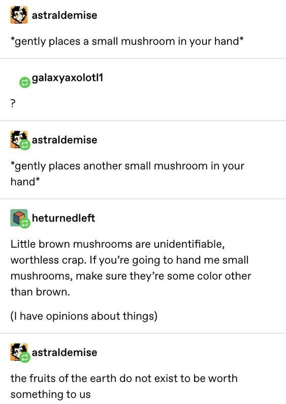 mushroom :) | Scrolller
