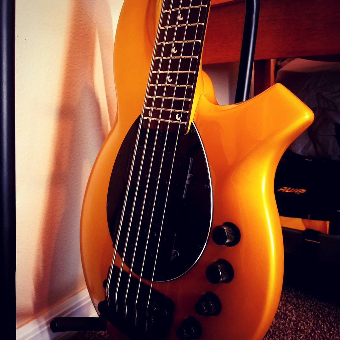 Music Man Bongo in Firemist Gold! | Scrolller