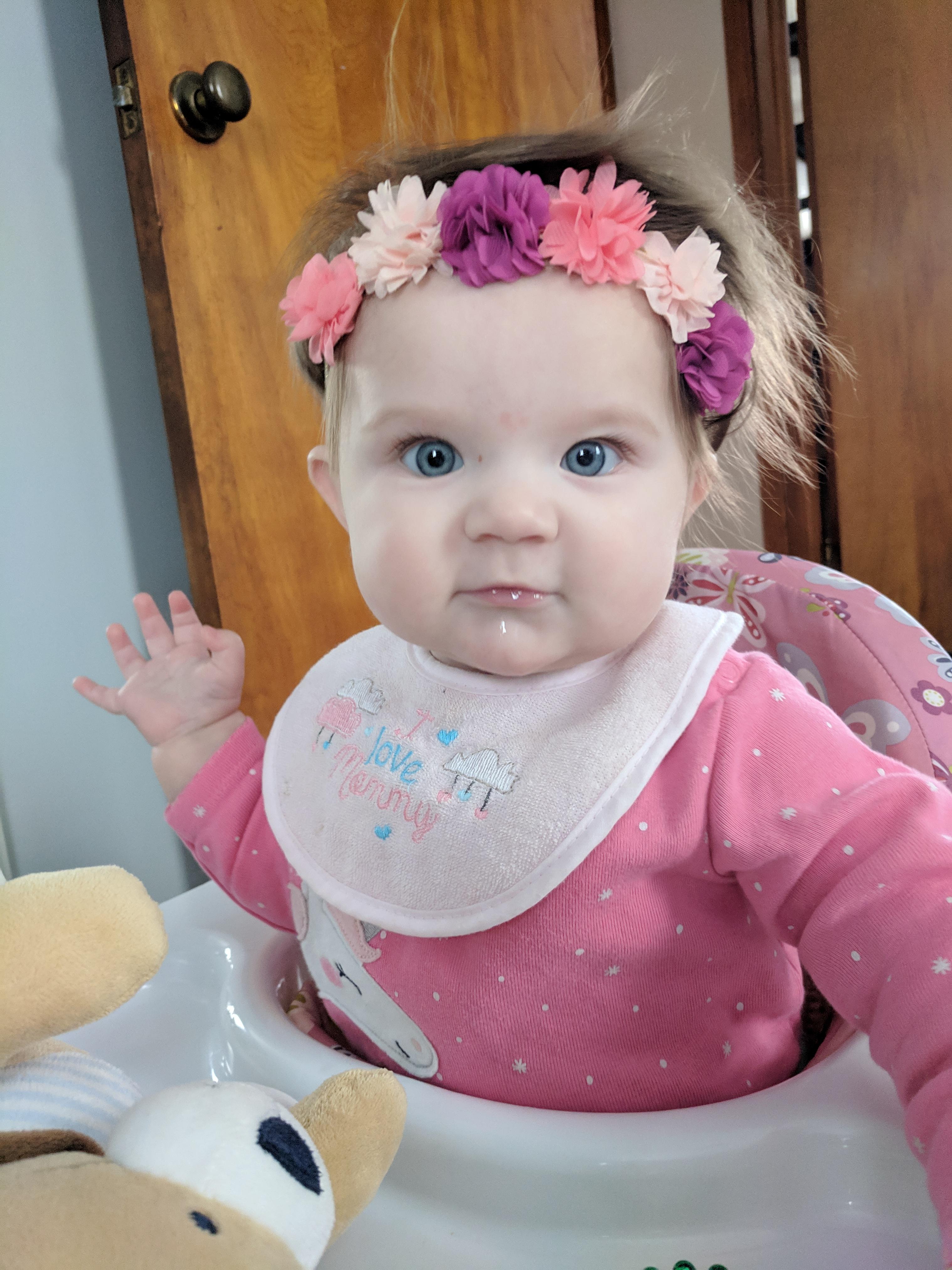 My 6 month old | Scrolller