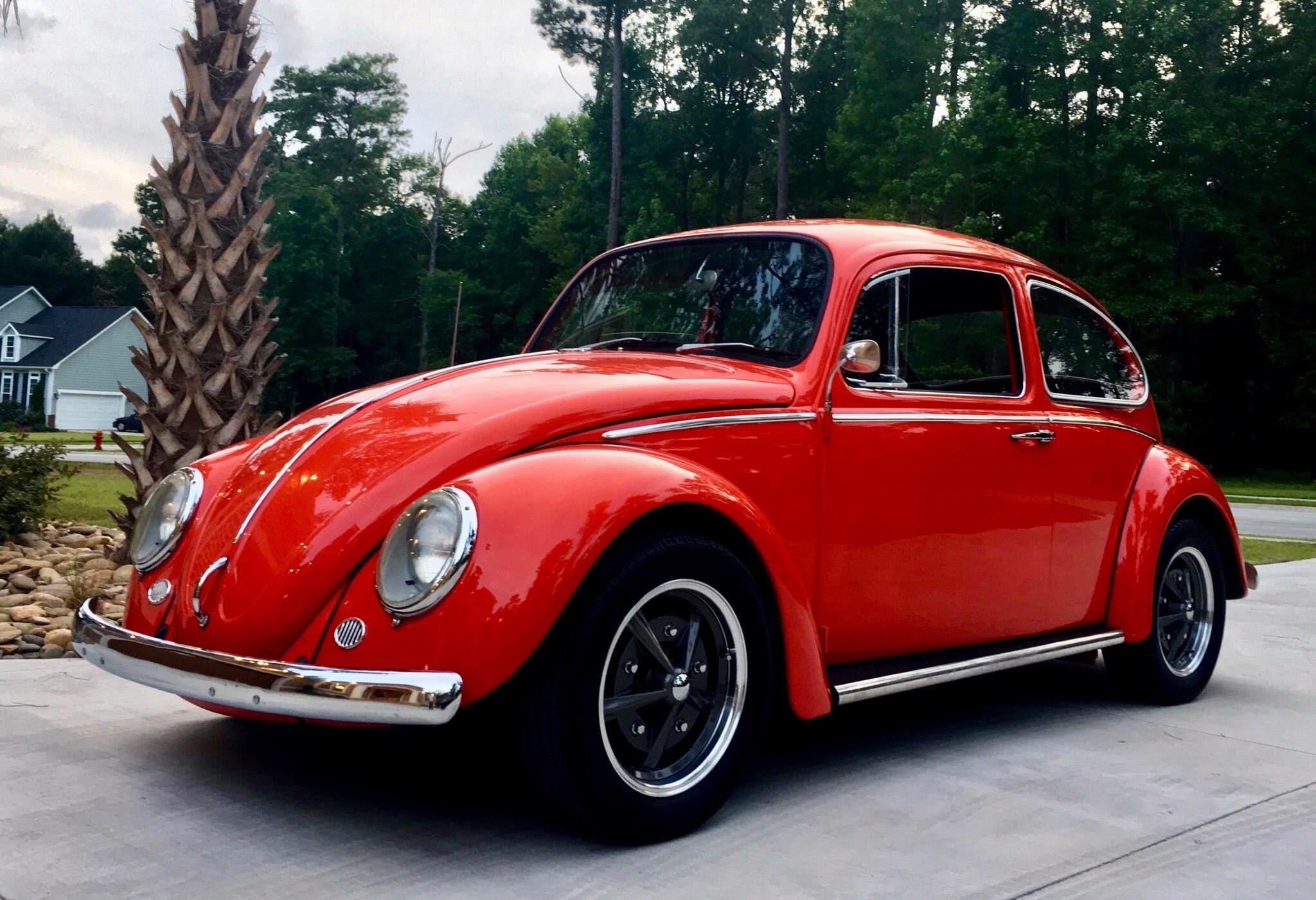 My 66 beetle | Scrolller