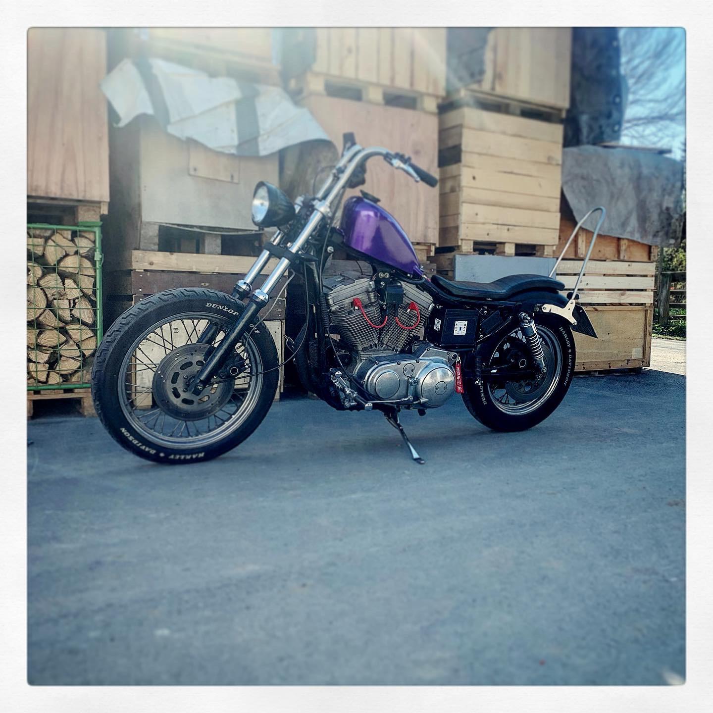 My 92 Sportster 883. We call it "The Purple Punch" | Scrolller