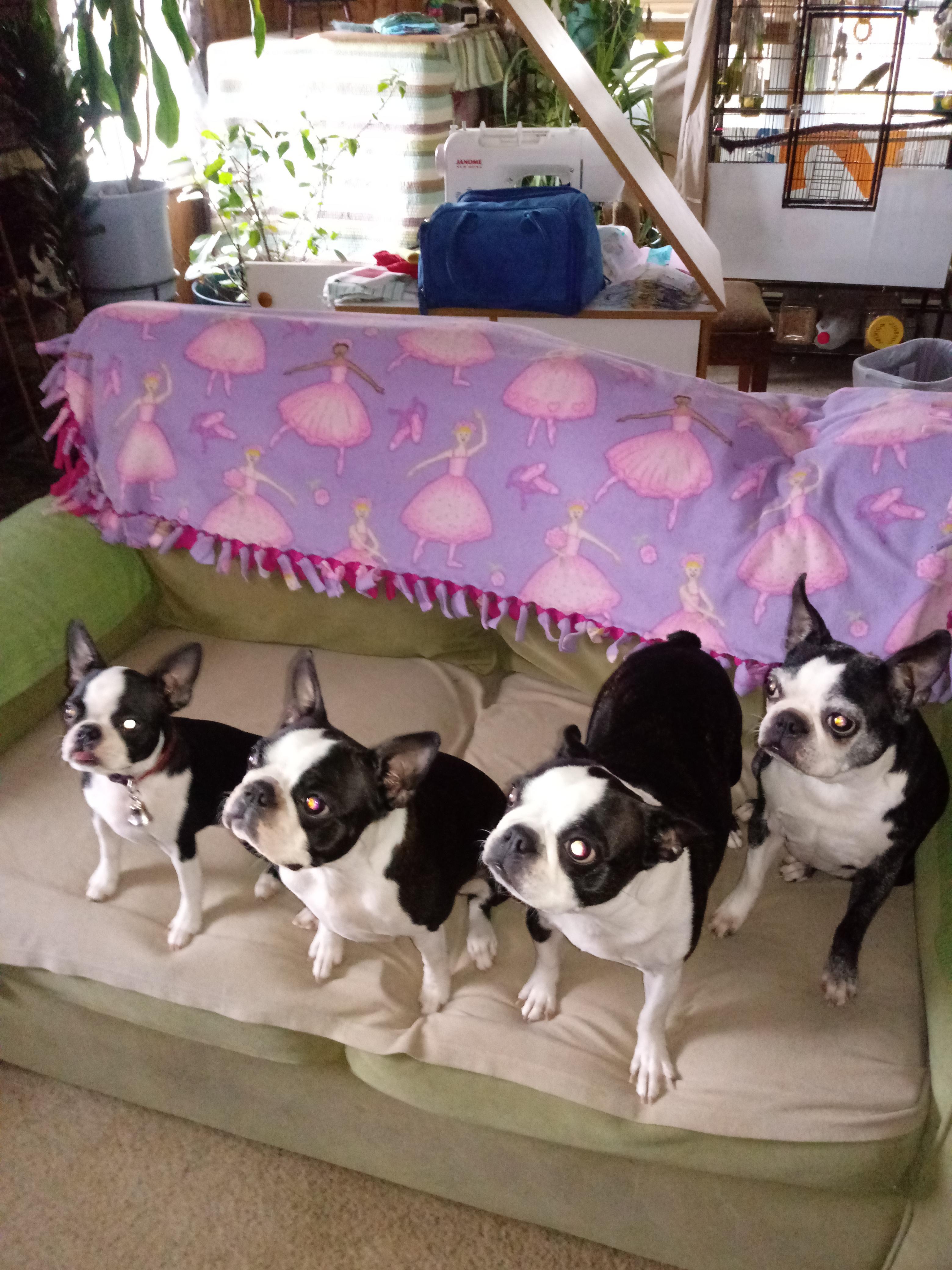 My babies...4 generations | Scrolller