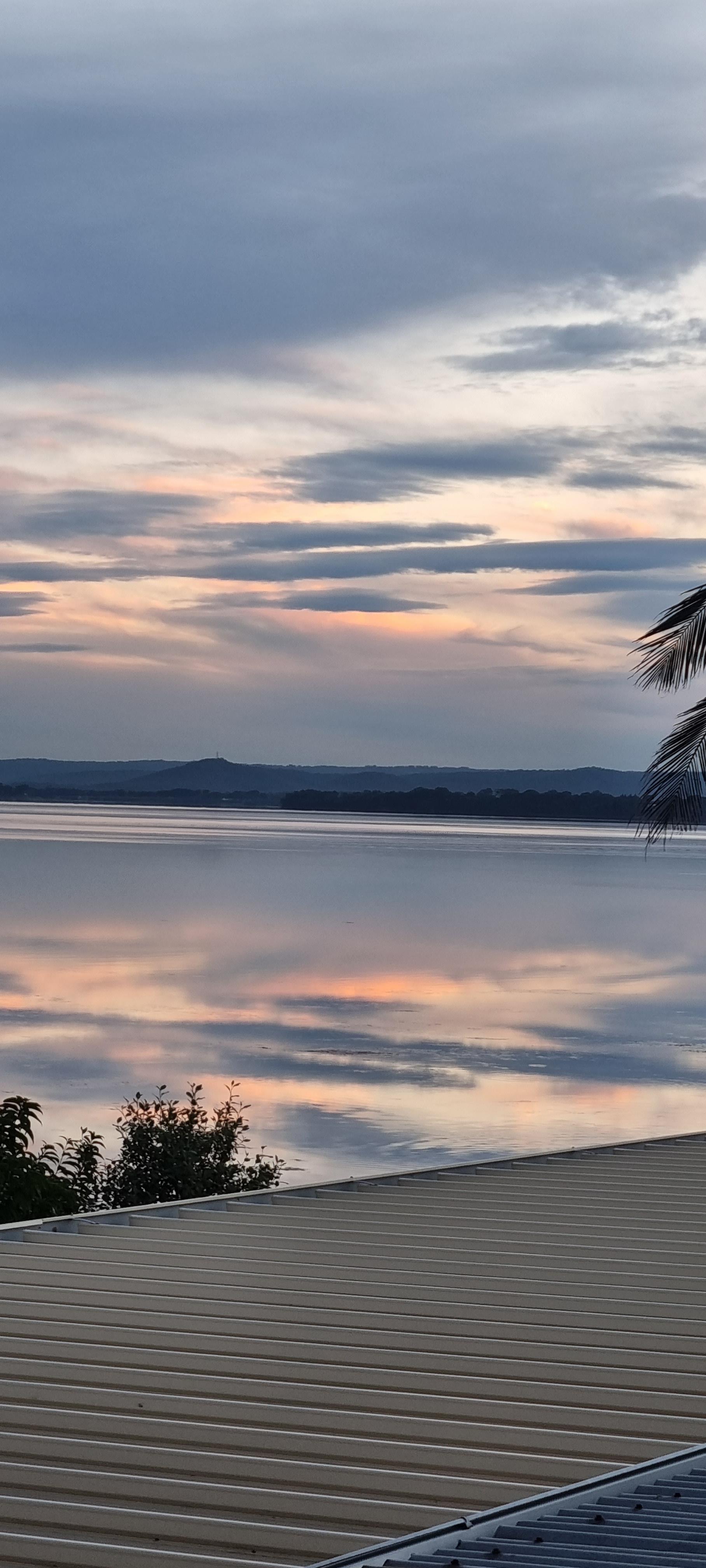 My backyard | Scrolller