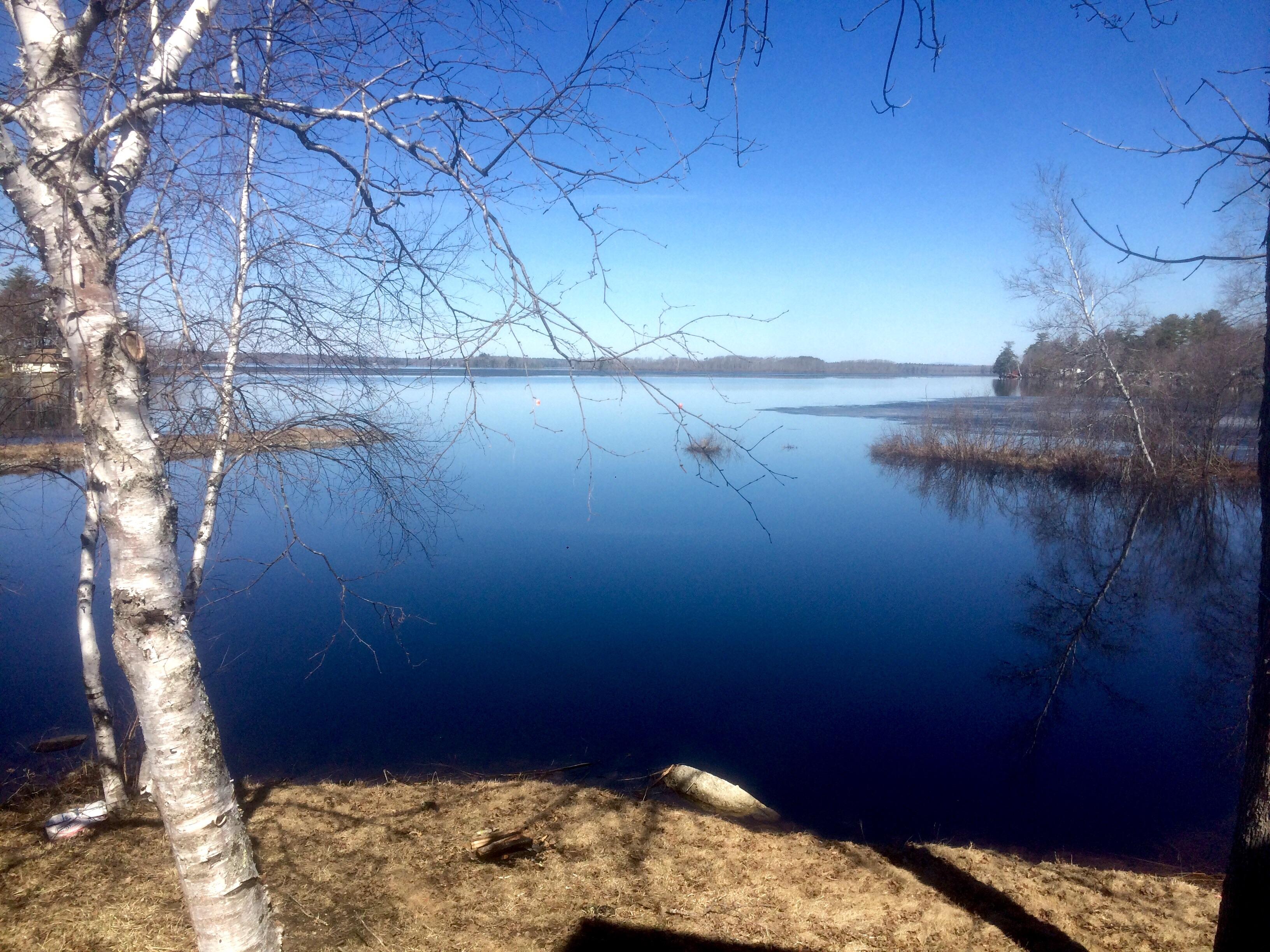 My beautiful back yard | Scrolller