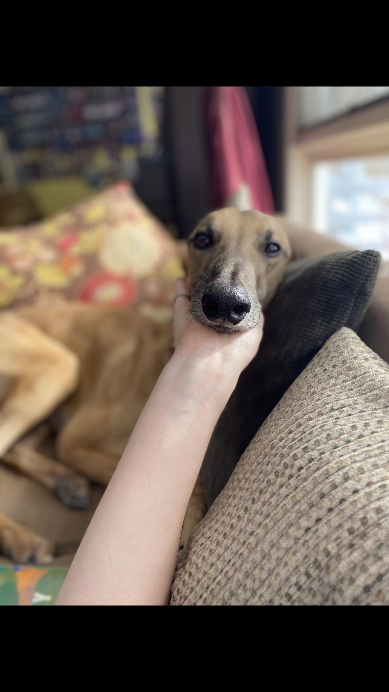 My Benny | Scrolller