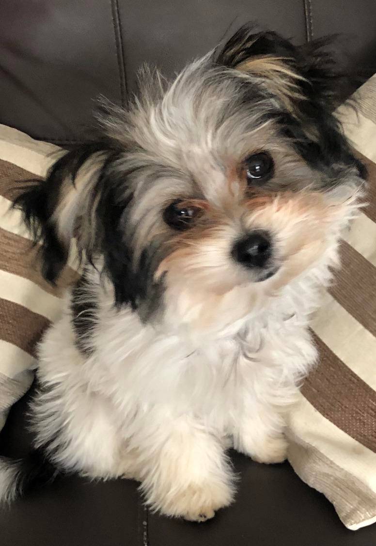 My bestie through the lockdown 💙 | Scrolller